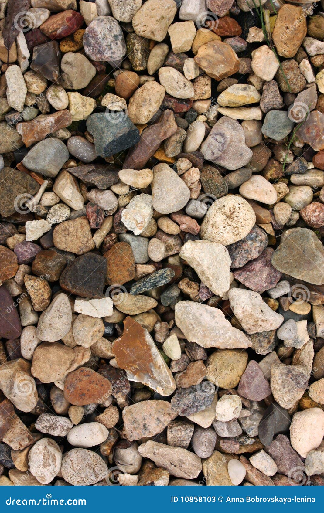 Small stones stock image. Image of backgrounds, heap - 10858103