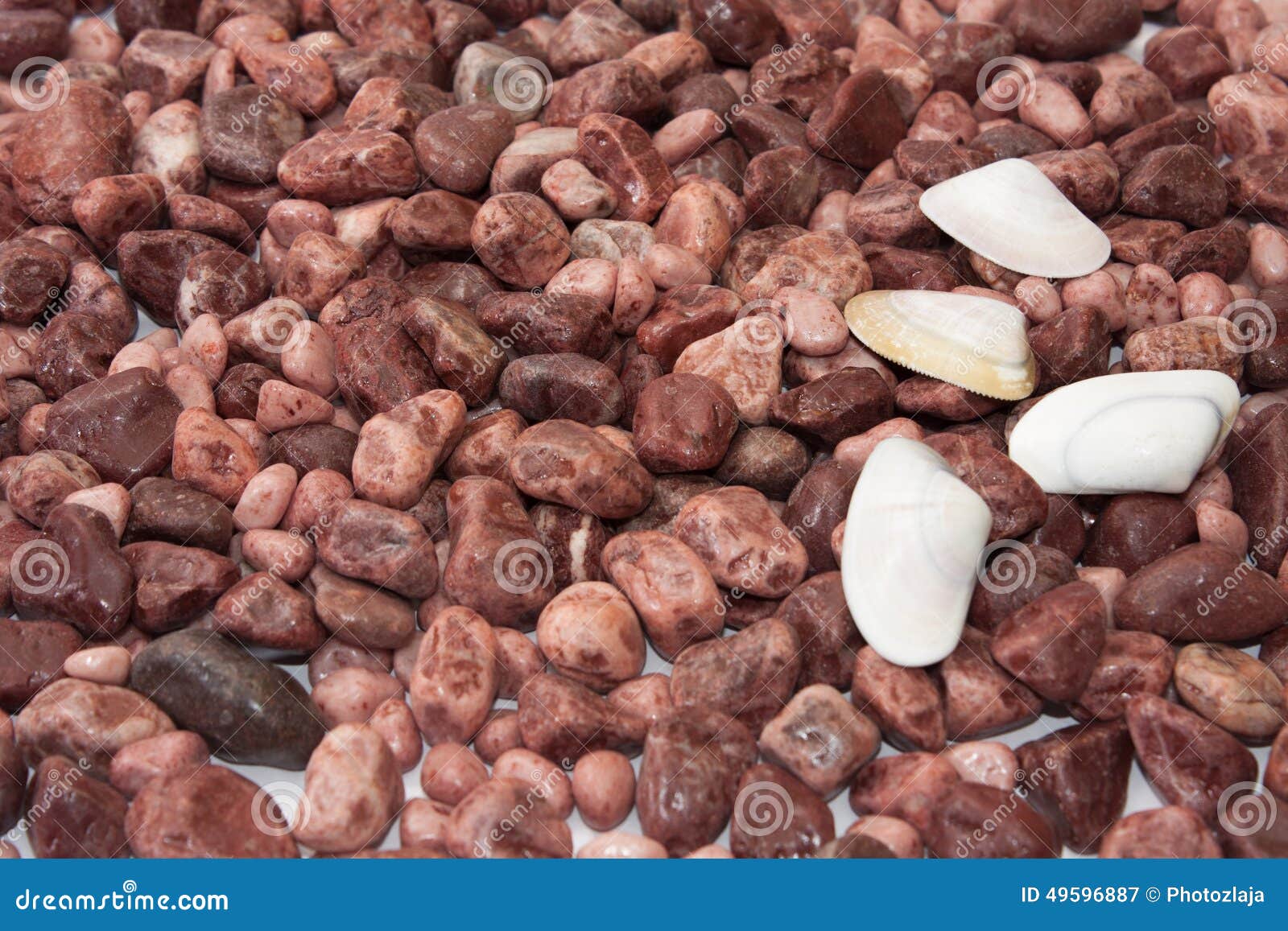 Small Stones on the Beach with Sea Shells Stock Image - Image of nature ...