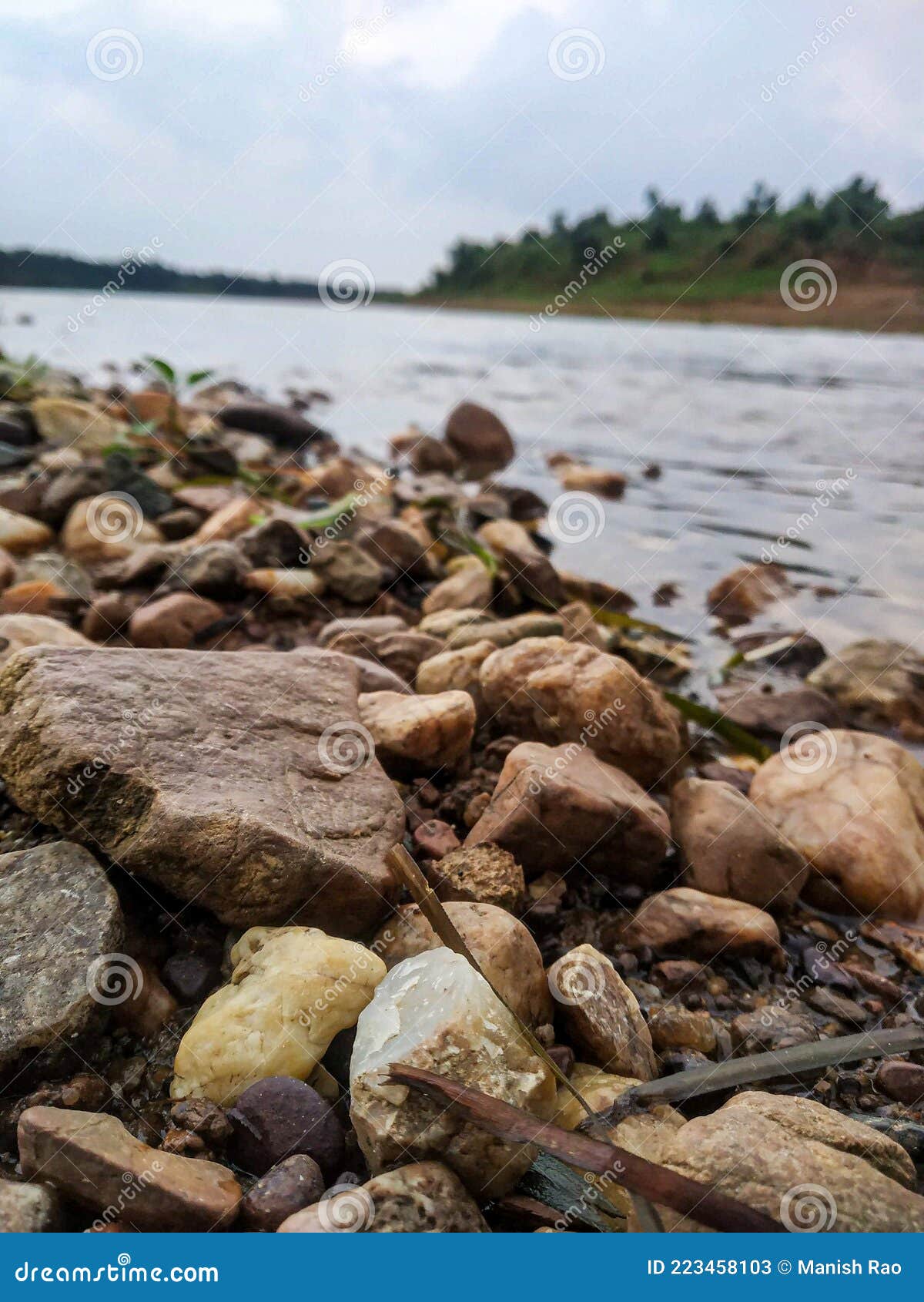 Edge Of The River Bank Reinforced With Giant Stones As A Breakwater ...