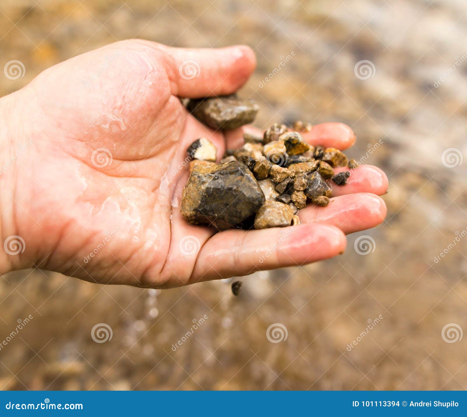 Small Stones in the Hand on the Pond Stock Photo - Image of outdoor ...