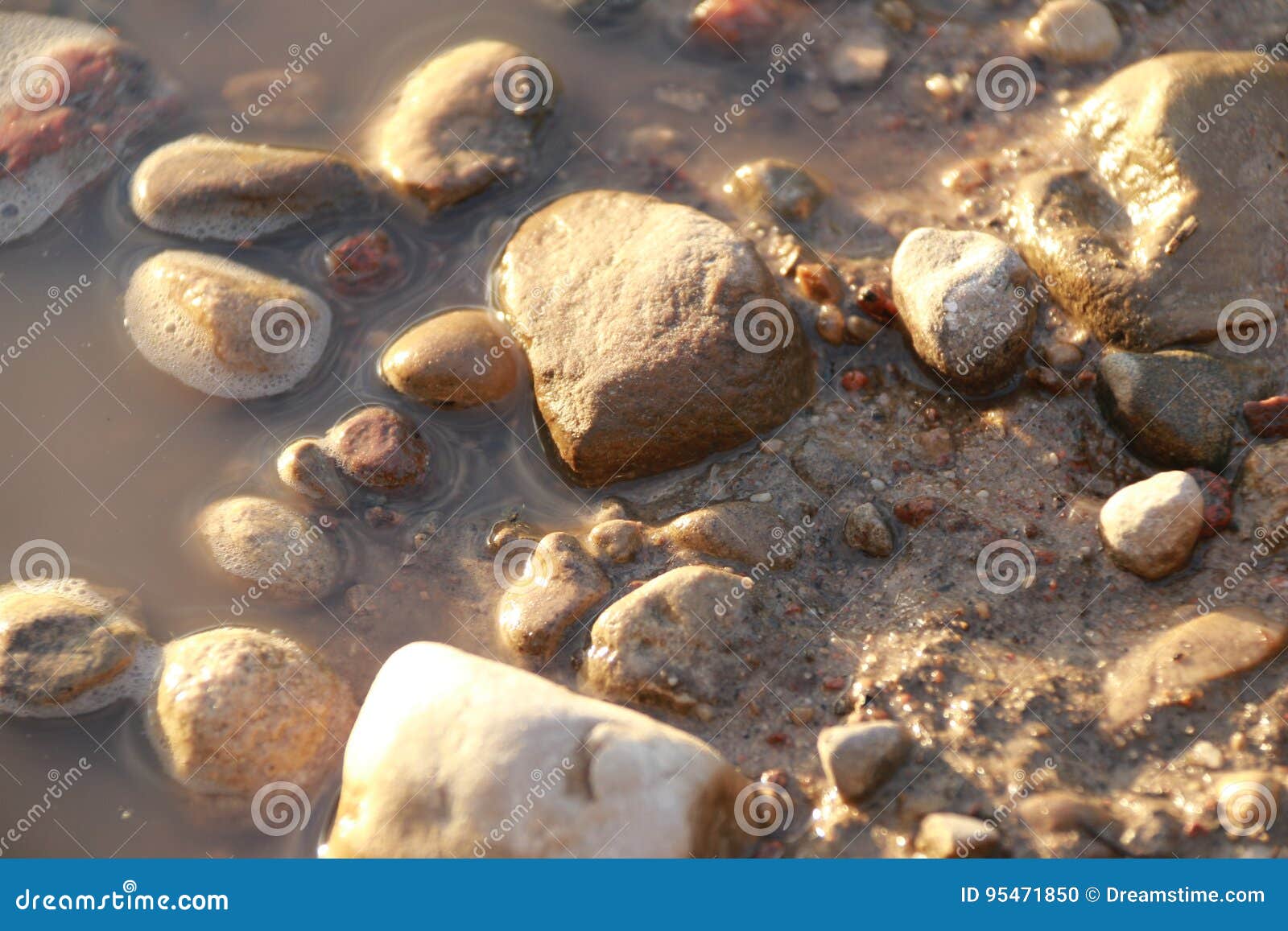 Small Stones Lying on the Ground and in the Water and Illuminated by ...