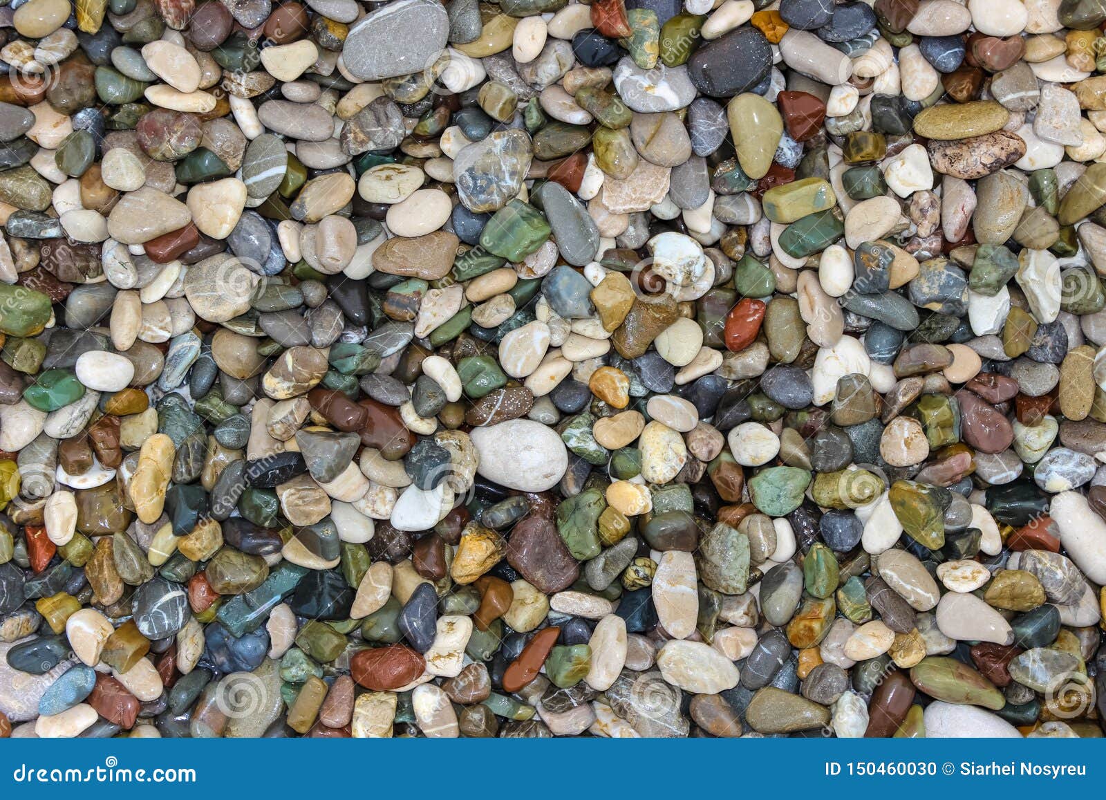 Small Stones on Pebble Beach, Background Stock Photo - Image of oval ...