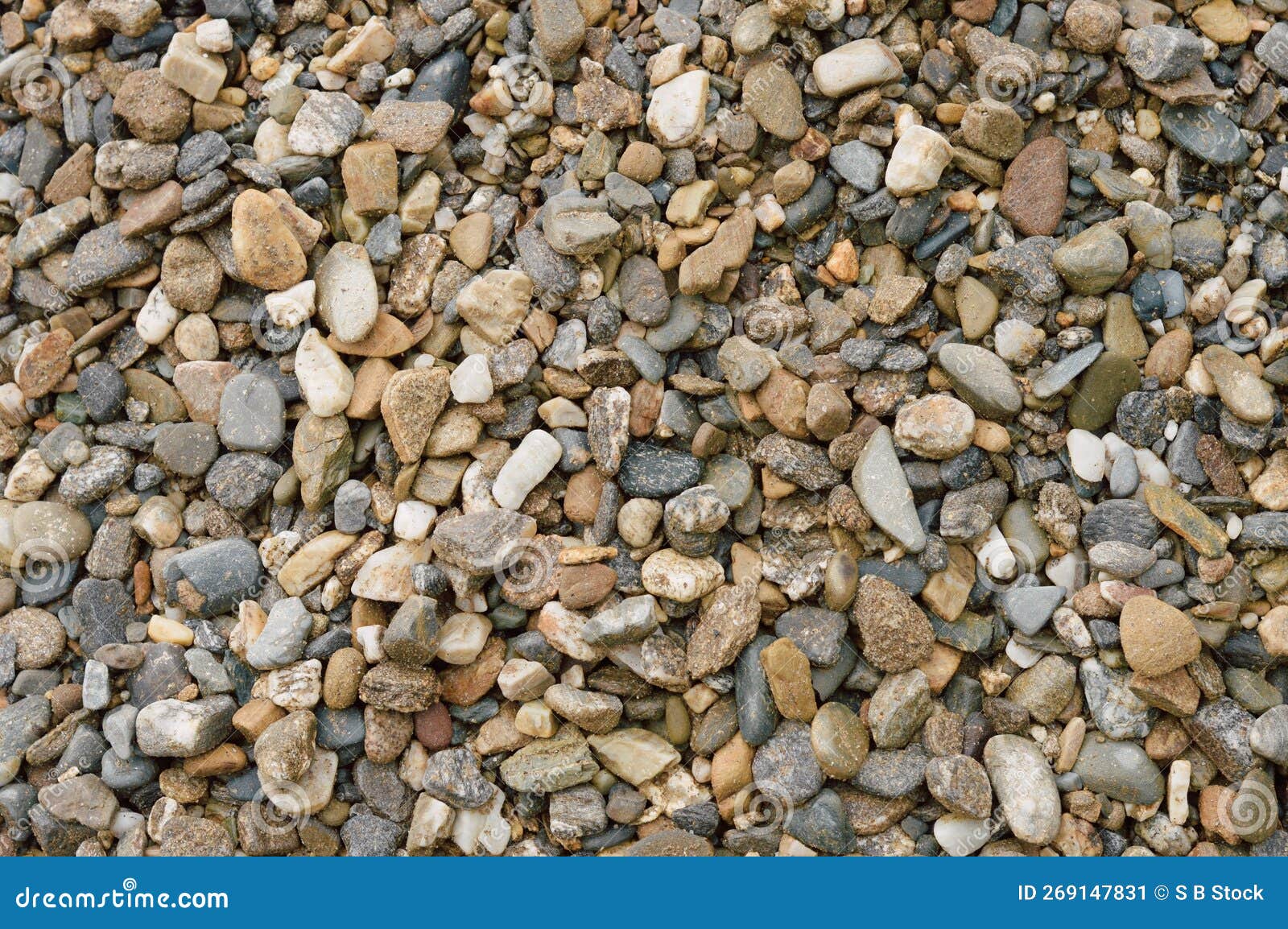 Small Stones Pebbles Gravel Texture Background. Full Frame Stock Image ...