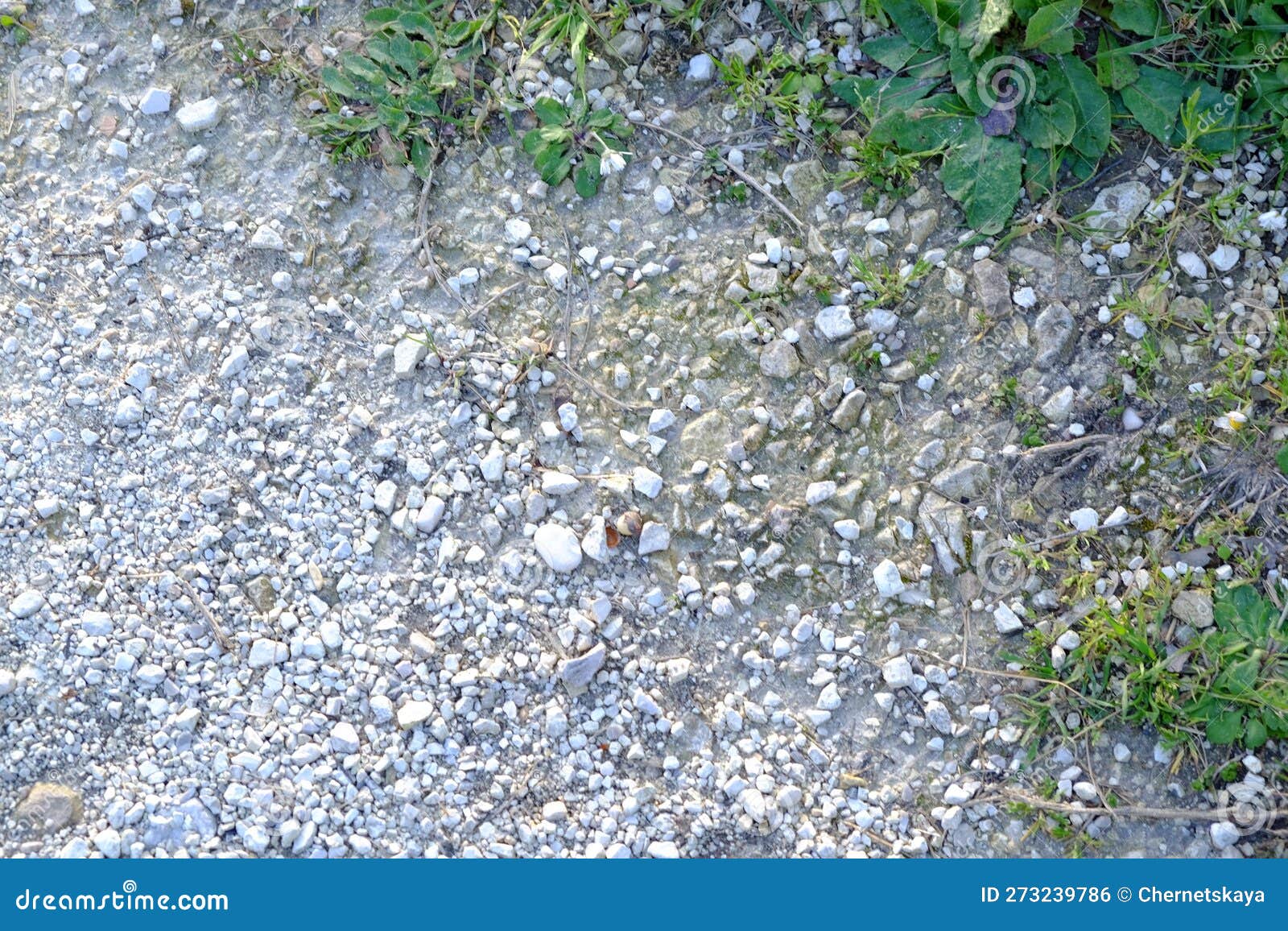 Small Stones and Plants Outdoors, Top View Stock Photo - Image of ...