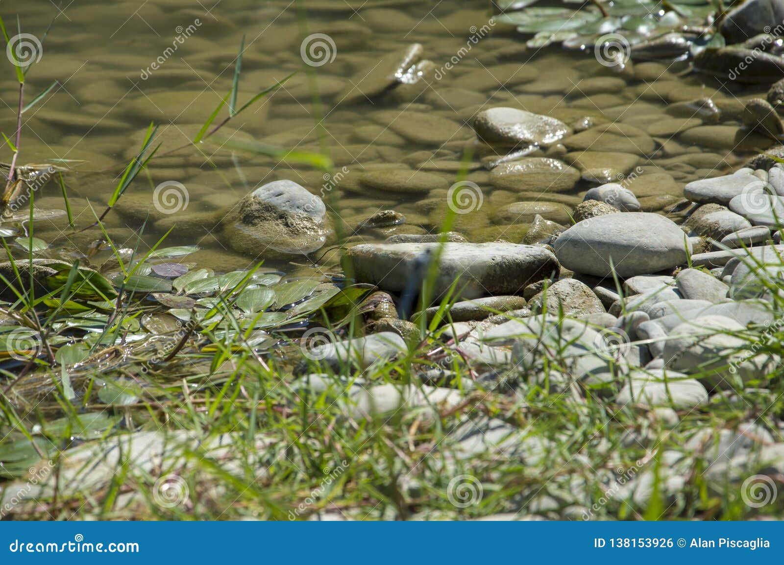 Small Stones River Close Up Stock Photo - Image of construction, grey ...