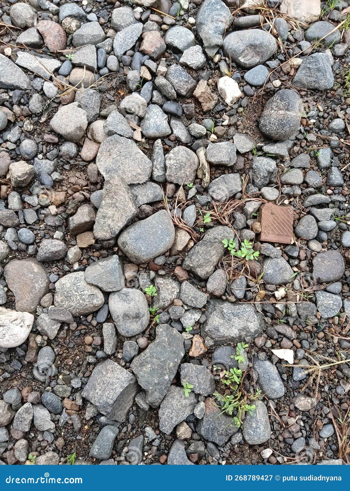 Small Stones Scattered on the Banks of the River when it Stopped ...