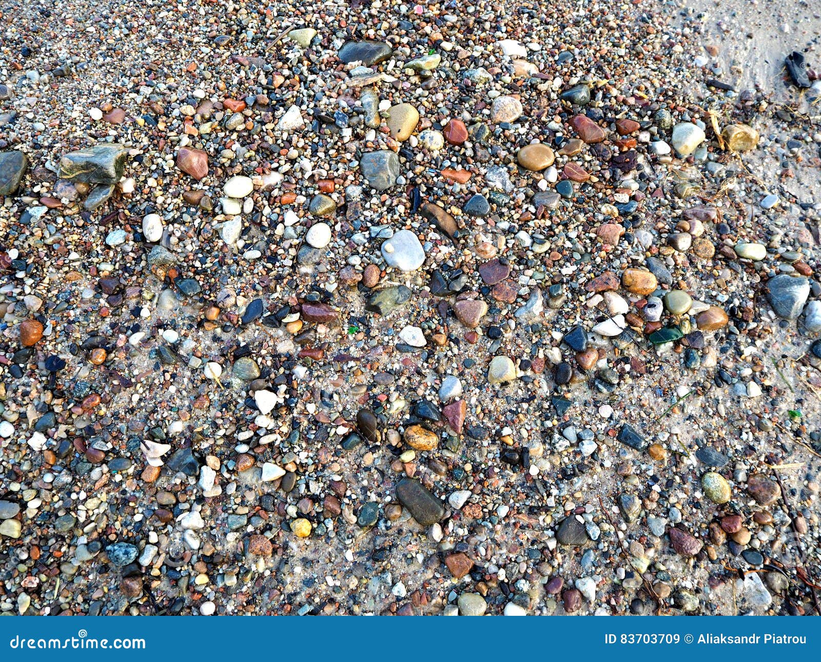 Small Stones on the Seashore Stock Image - Image of trees, clouds: 83703709
