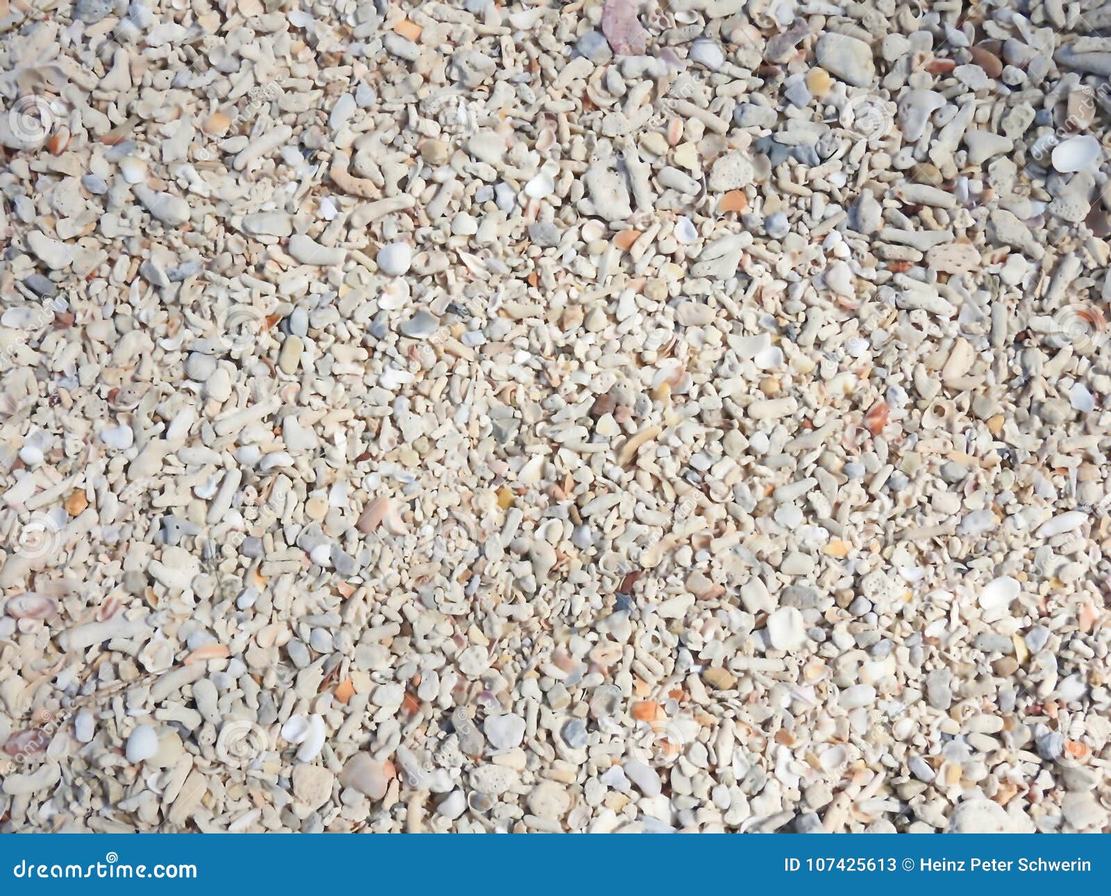 Small Stones and Shell Fragments Stock Image - Image of macro, seashell ...