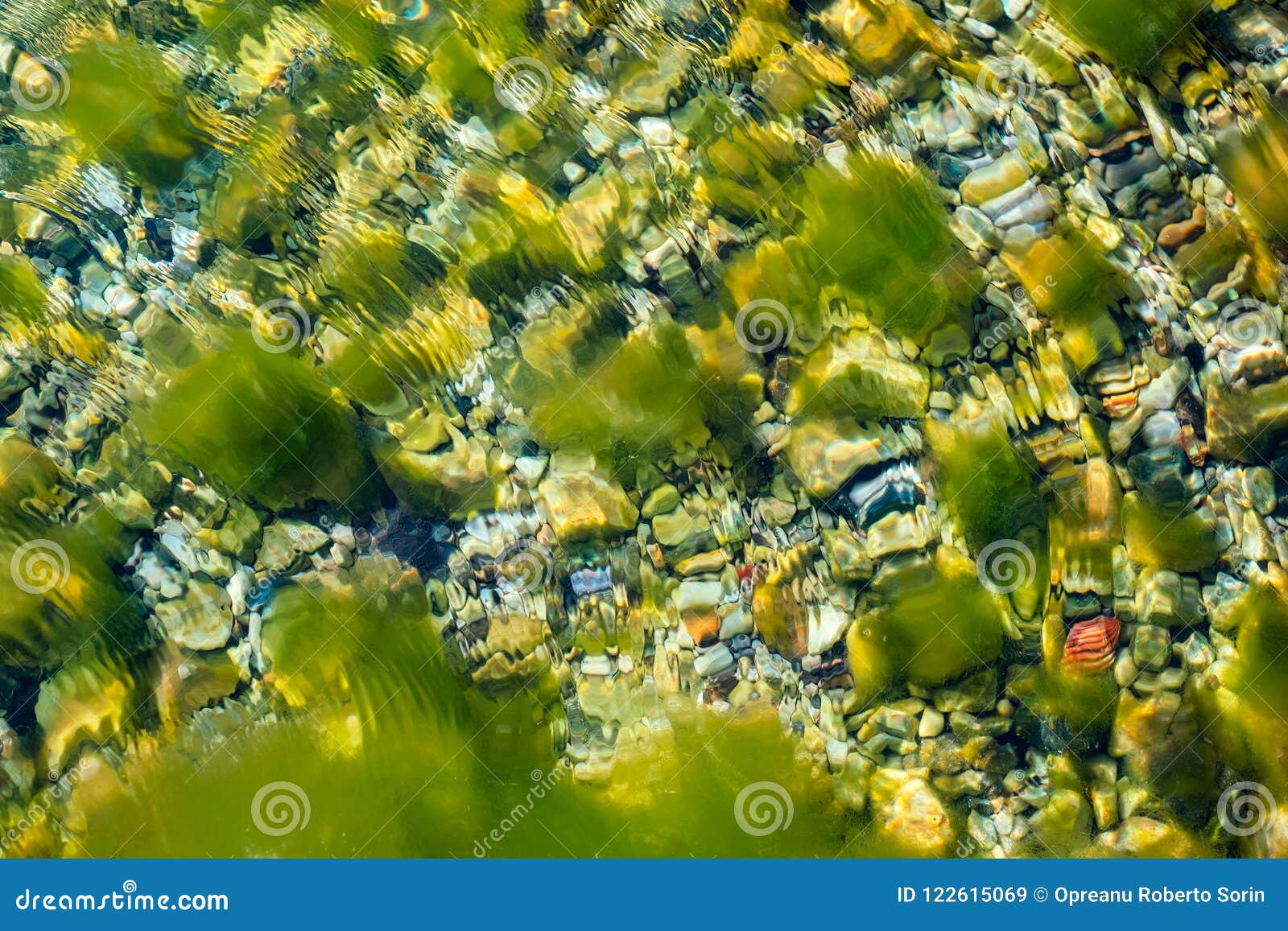 Small Stones Under Water with Algae Stock Image - Image of algae ...