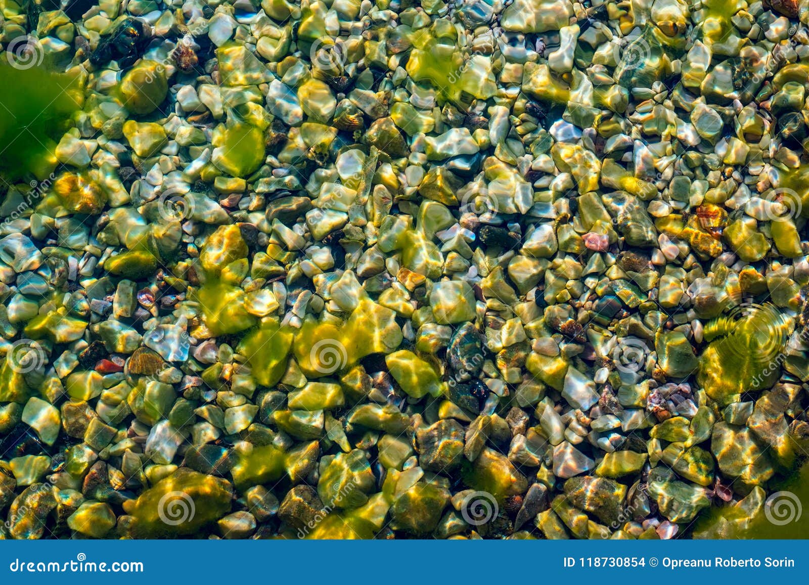 Small stones under water stock photo. Image of pebble - 118730854