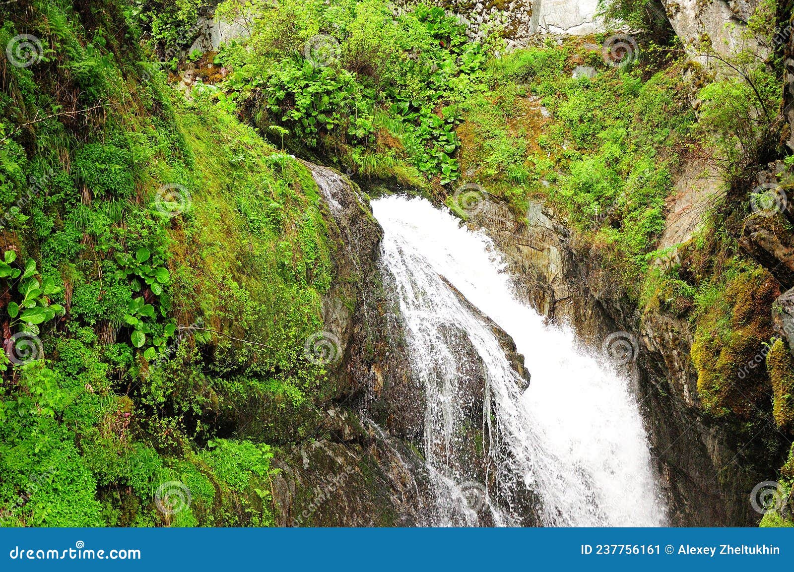A Small, Stormy Waterfall Flows from a Sheer Cliff into a Summer Forest ...