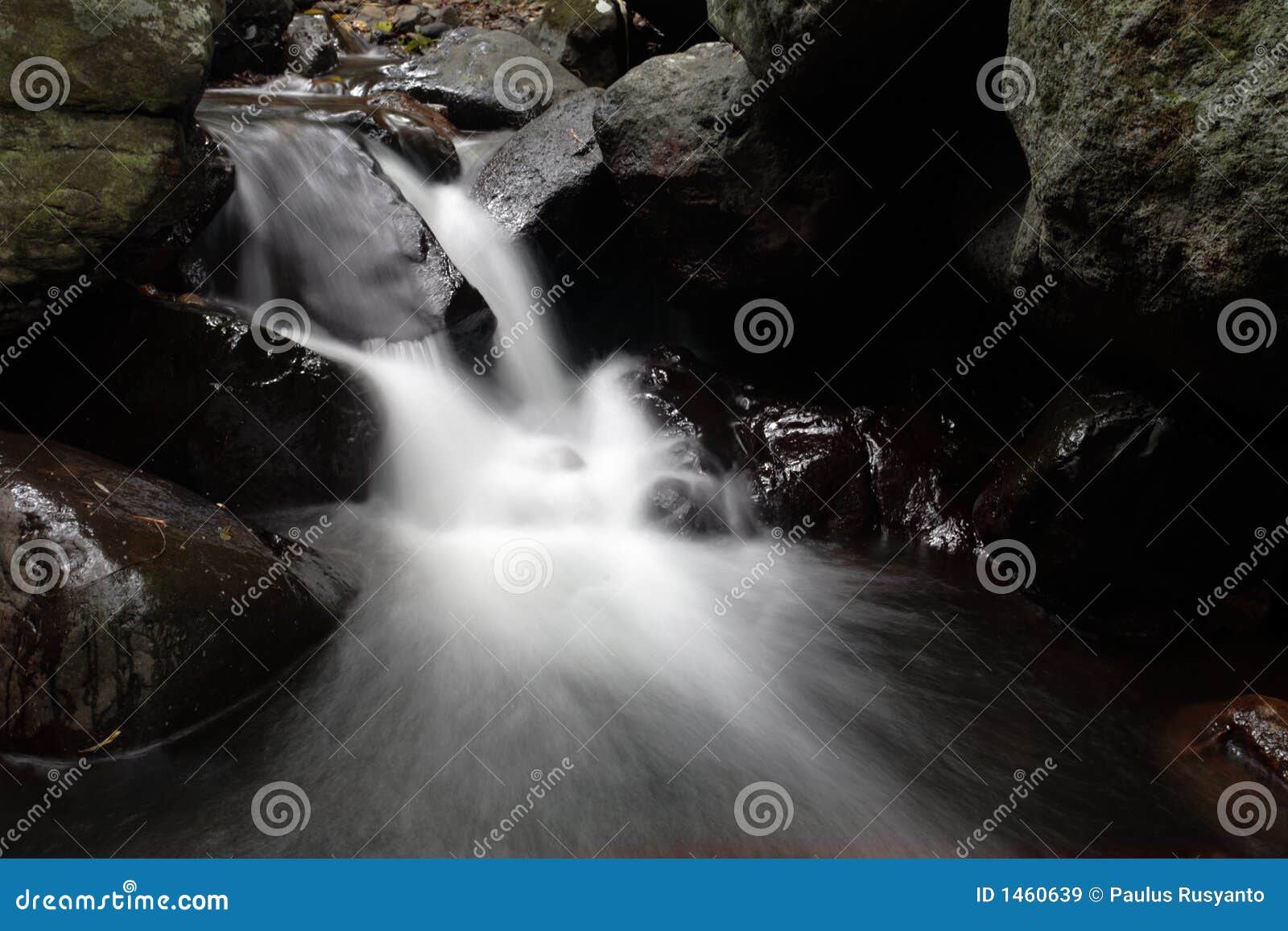 A small Stream stock image. Image of beauty, river, refreshing - 1460639