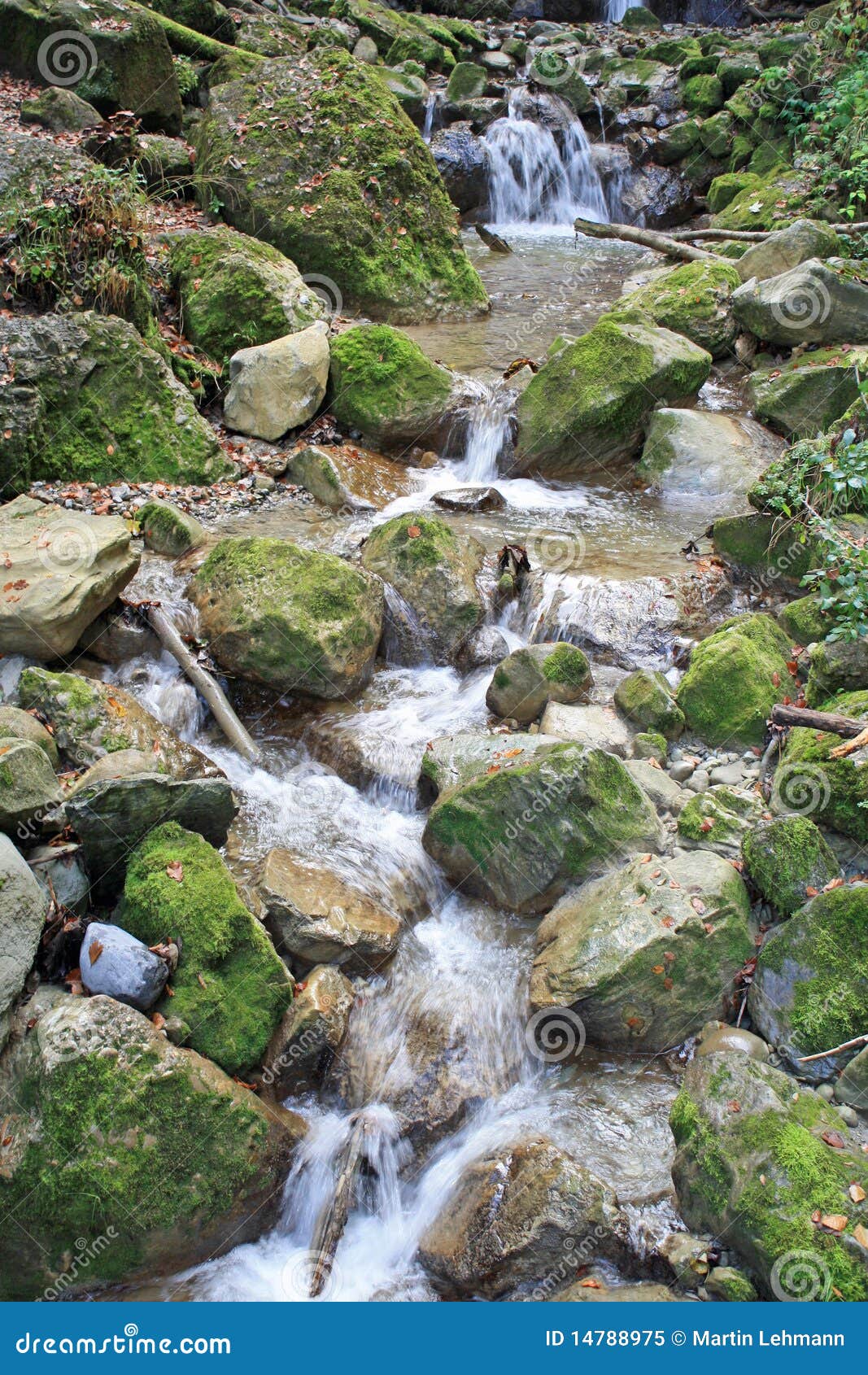 Small stream stock image. Image of small, relaxing, clean - 14788975