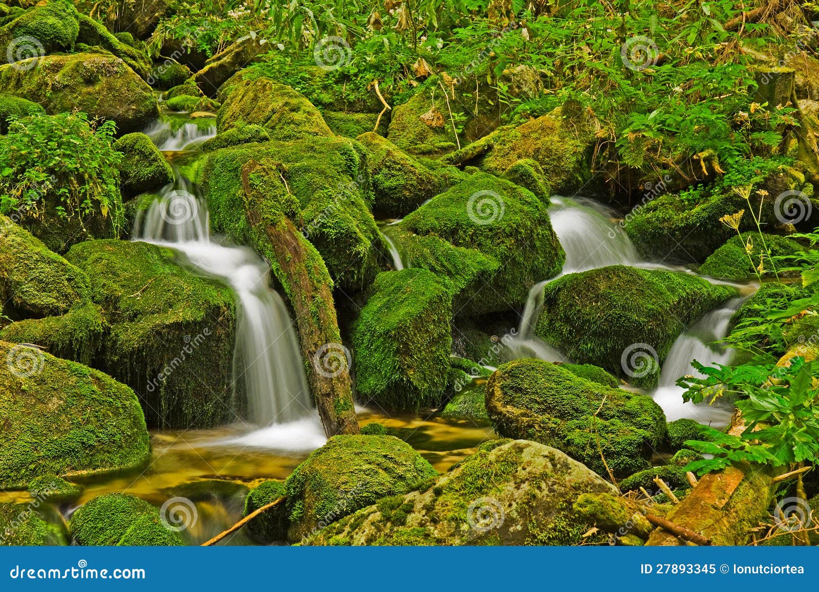 Small stream stock image. Image of rivers, waterfall - 27893345