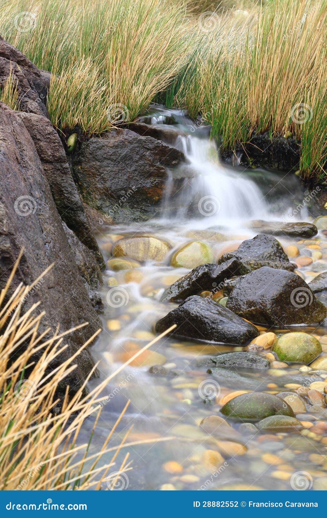 Small stream stock photo. Image of motion, tranquil, relax - 28882552