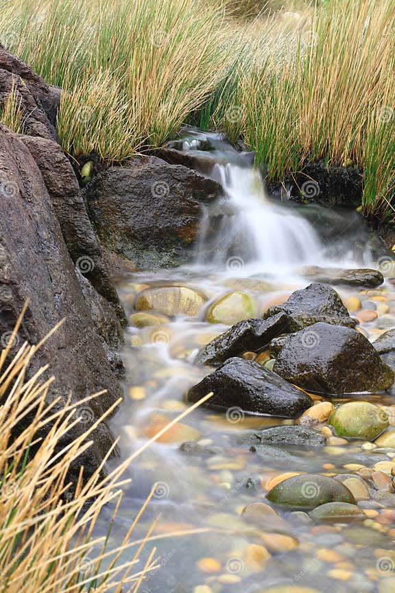 Small stream stock photo. Image of motion, tranquil, relax - 28882552