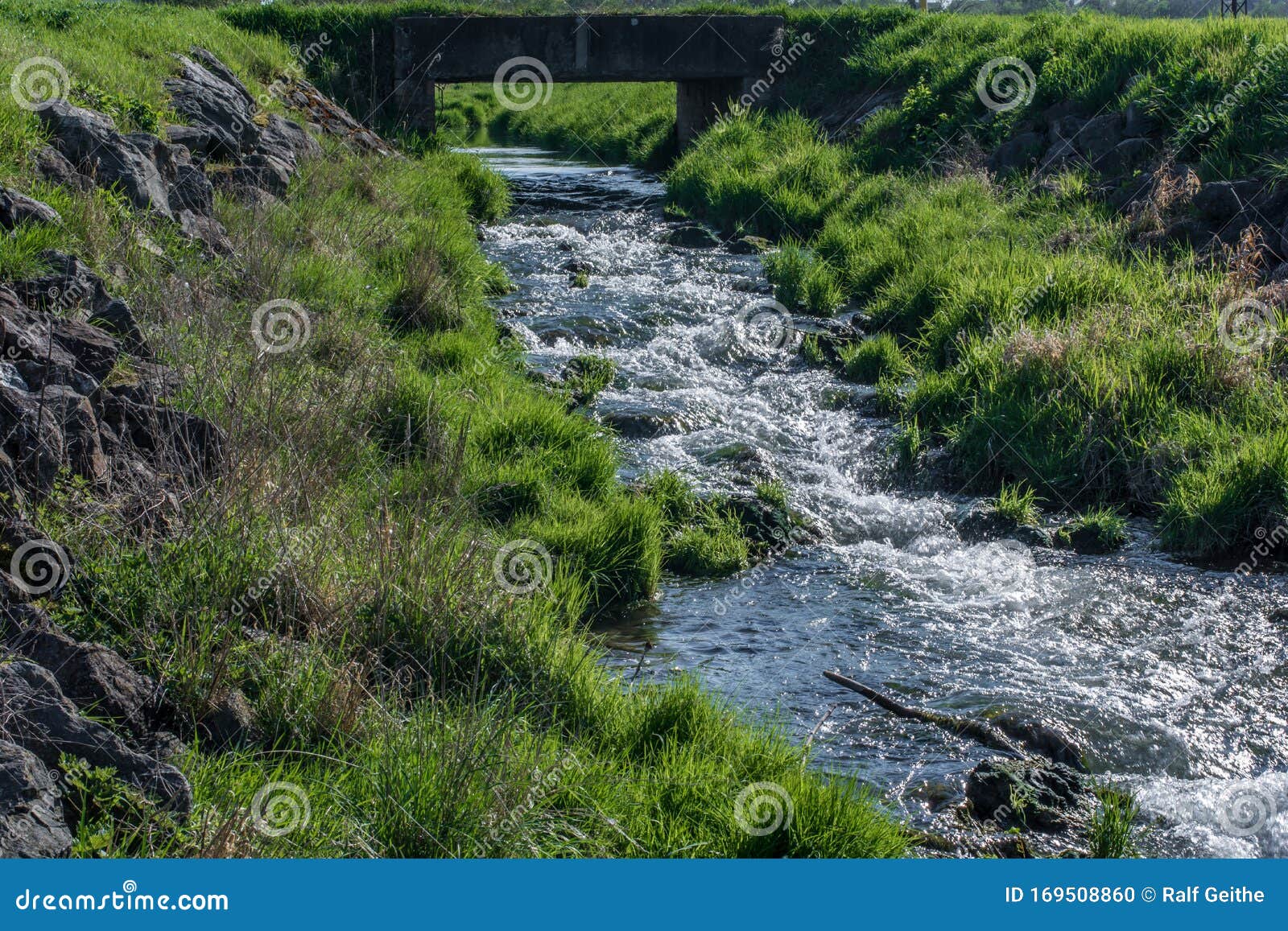 Green Stream of an Artificial Stream Stock Photo - Image of cold ...