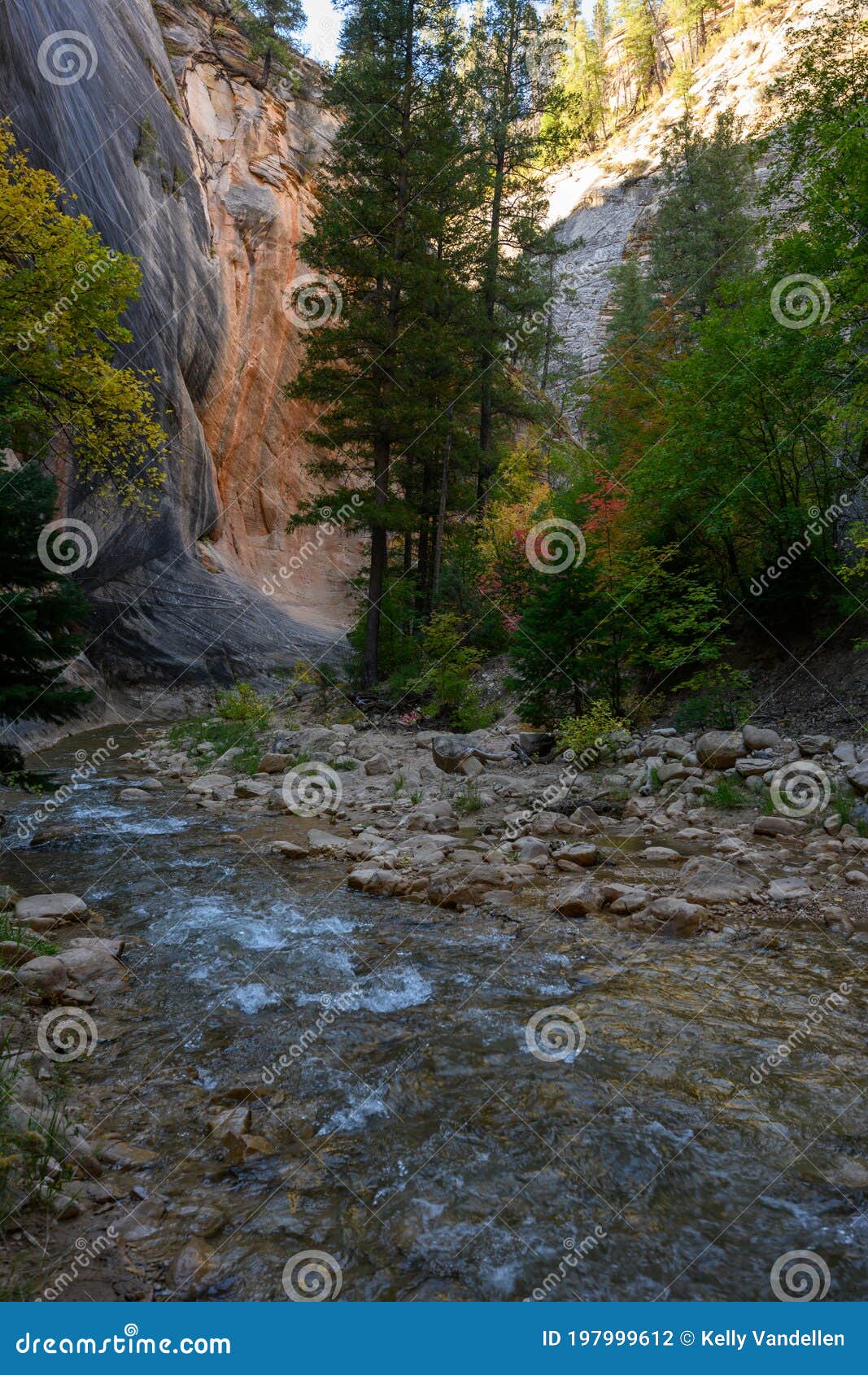 Small Stream at the Beginning of the Narrows Stock Photo - Image of ...