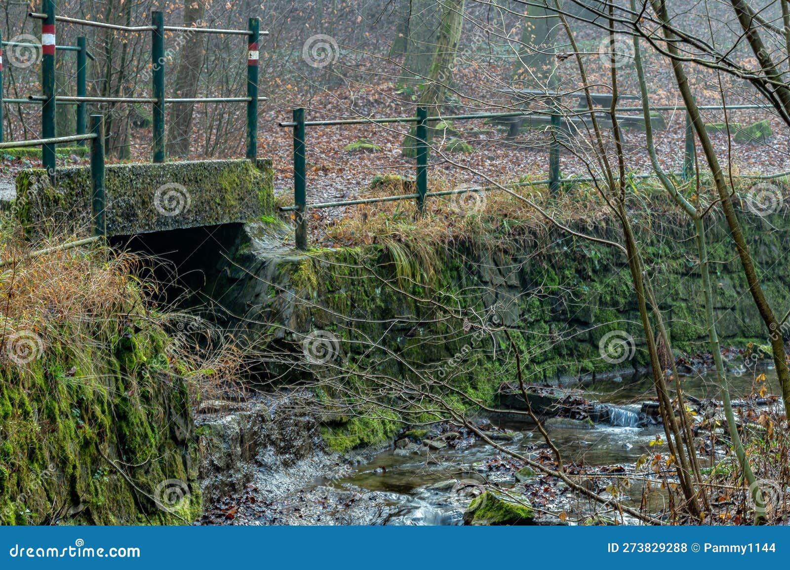 Small stream with bridge stock photo. Image of fresh - 273829288