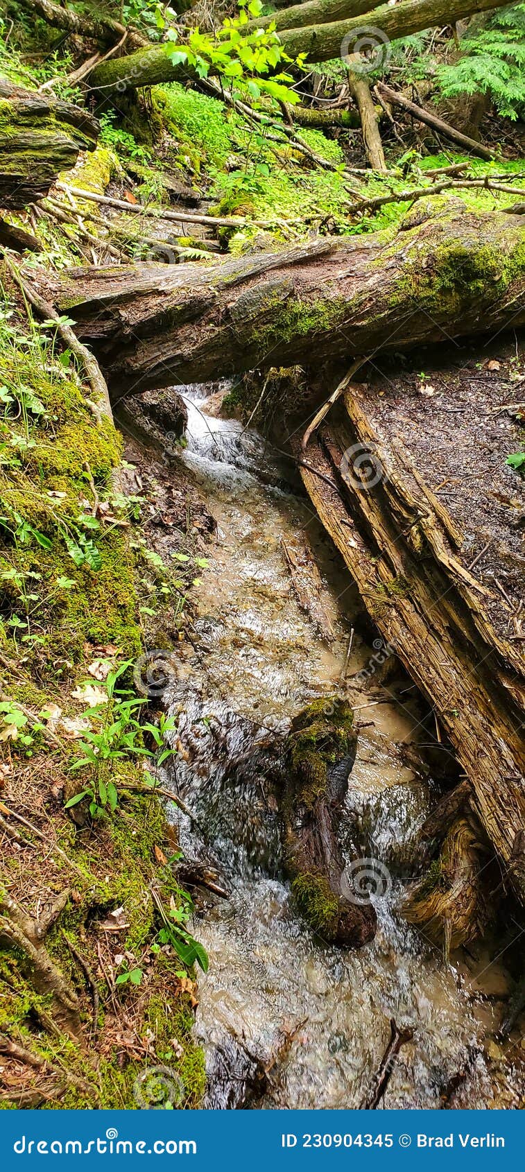 Small Stream Cascading Down a Hillside Stock Image - Image of leaf ...