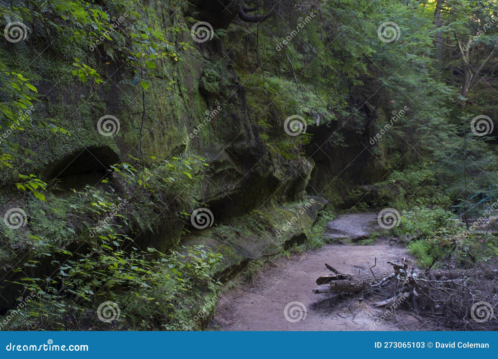 A small stream and cliff stock image. Image of rocks - 273065103