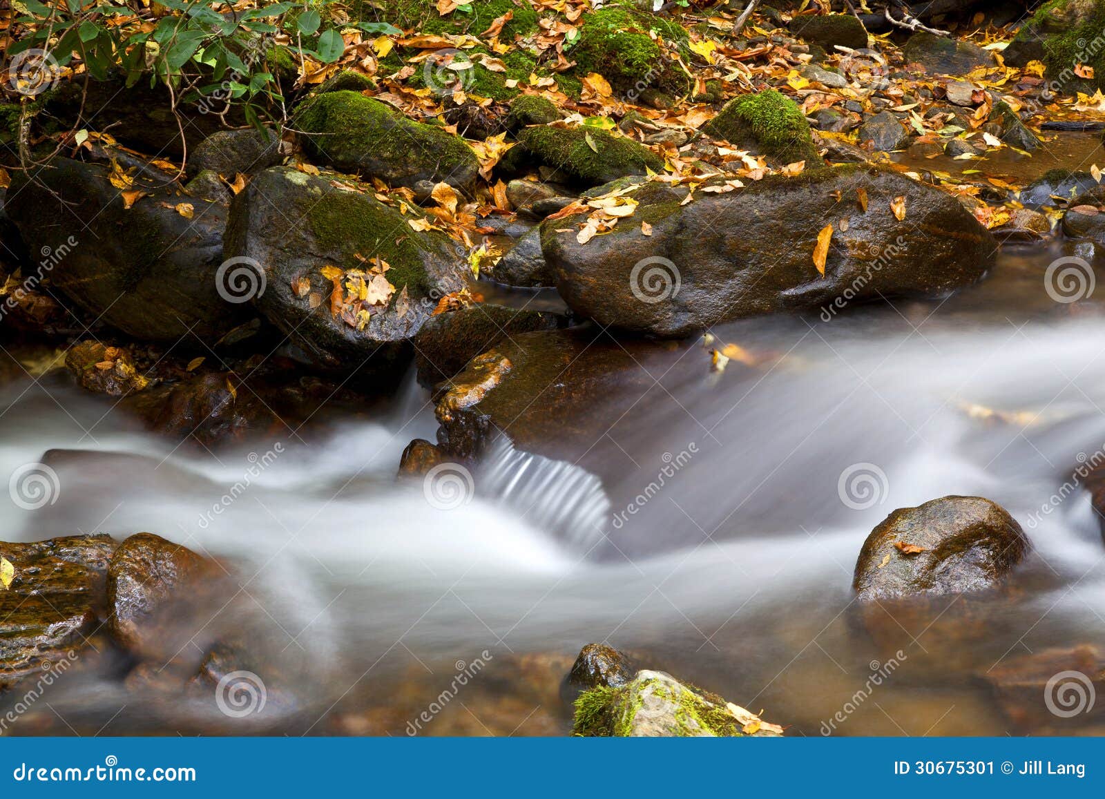 Small Stream stock image. Image of flowing, brooks, pretty - 30675301