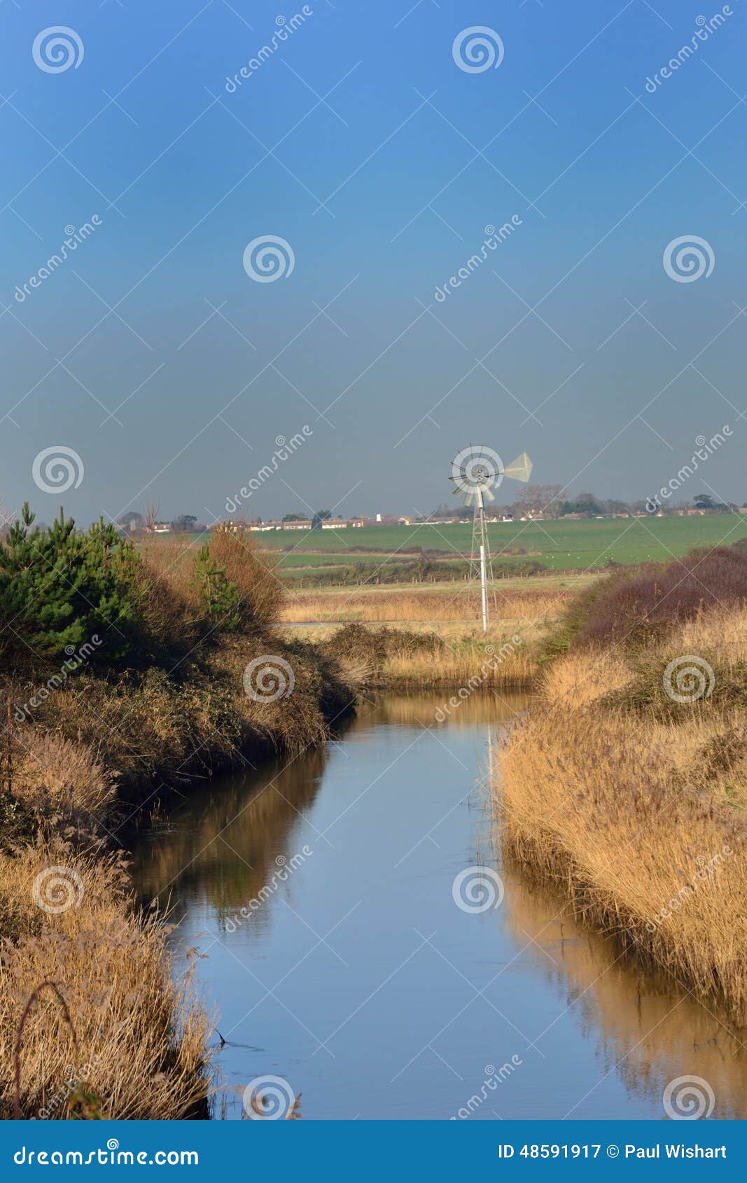 Small Stream in Countryside in Fall Stock Image - Image of stream ...