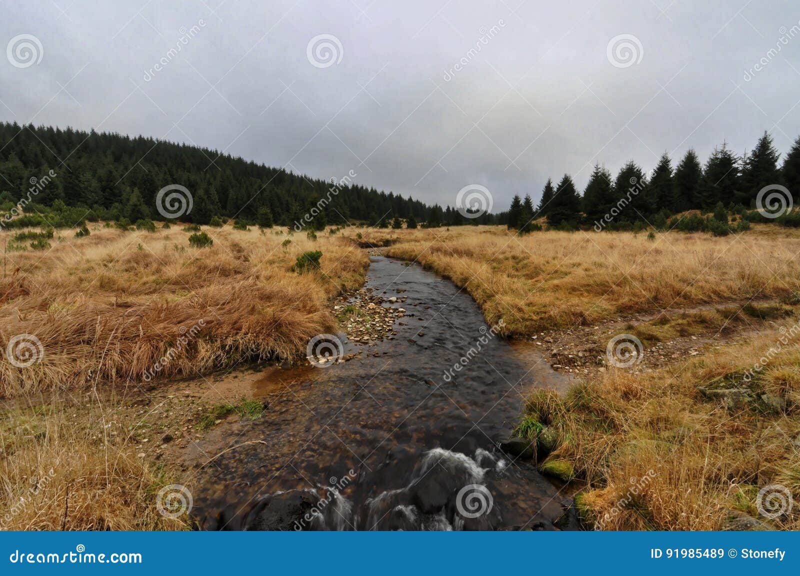 Small Stream Crosses the Dirt Road Stock Image - Image of scenic ...