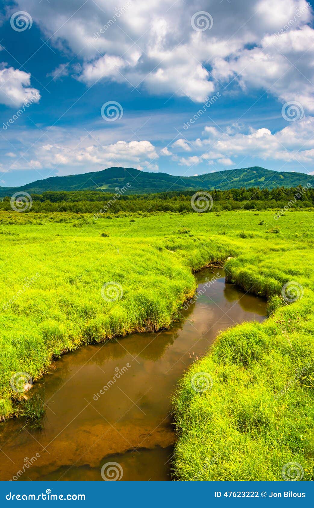 Small Stream and Distant Mountains at Canaan Valley State Park, Stock ...