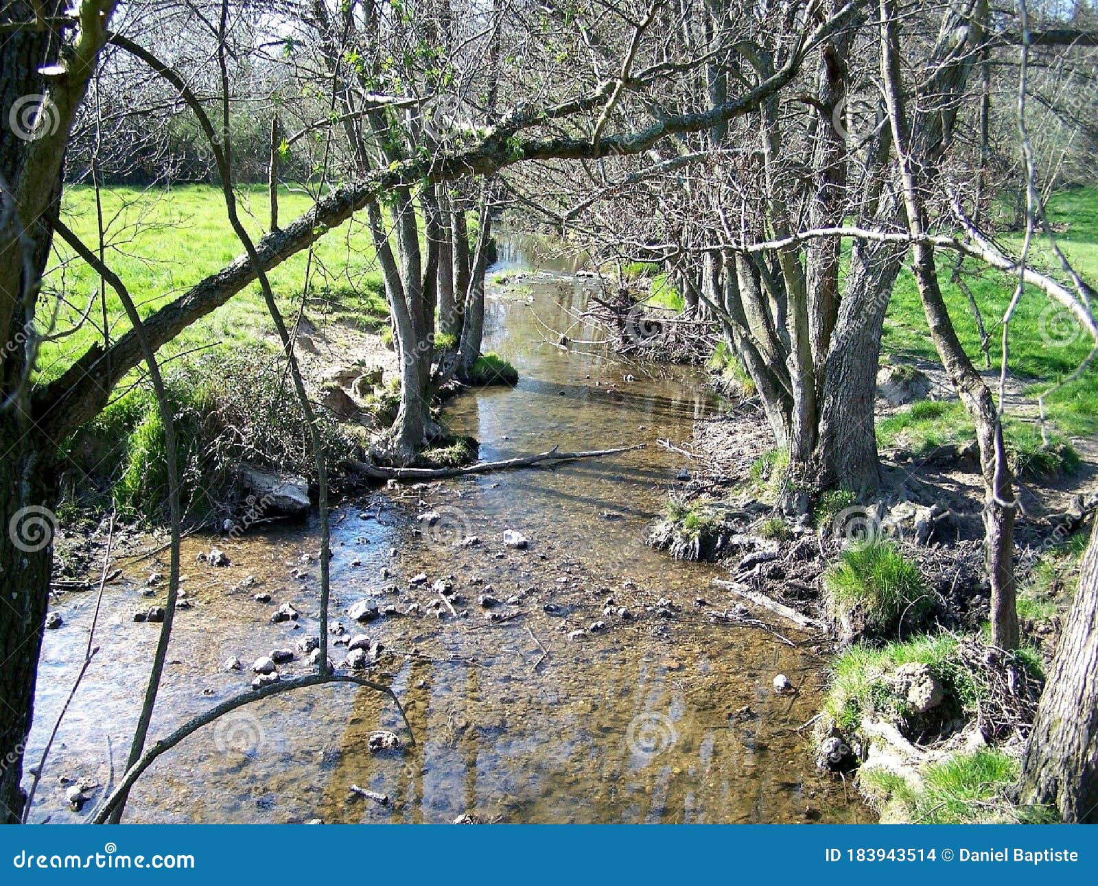 Small stream stock photo. Image of shallow, greenery - 183943514
