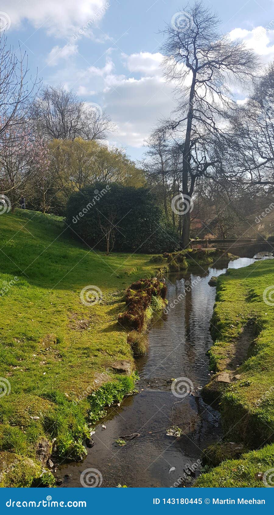 Small Stream in the English Countryside. Stock Image - Image of sunny ...