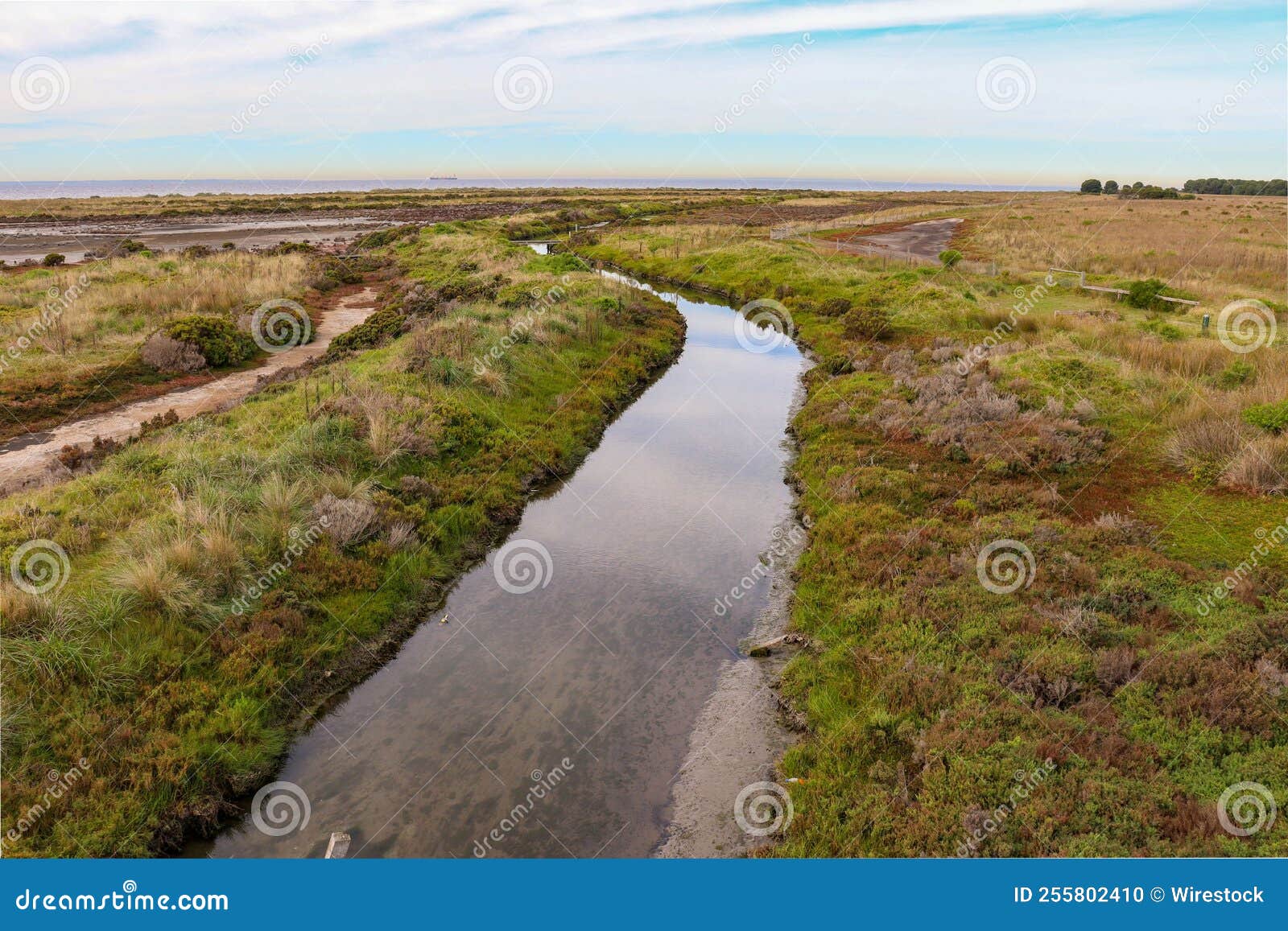 Small Stream Flowing through a Field. Stock Photo - Image of field ...