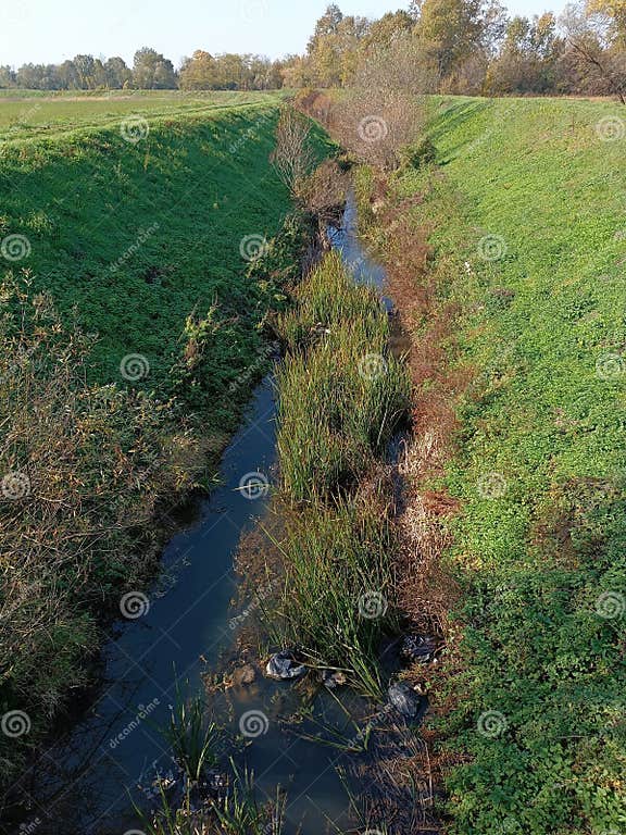 A Small Stream Flowing through Green Fields Stock Image - Image of ...