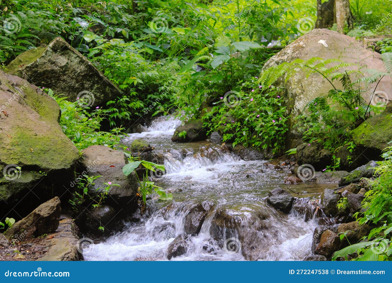 Small Stream Flowing between the Rocks Stock Photo - Image of small ...