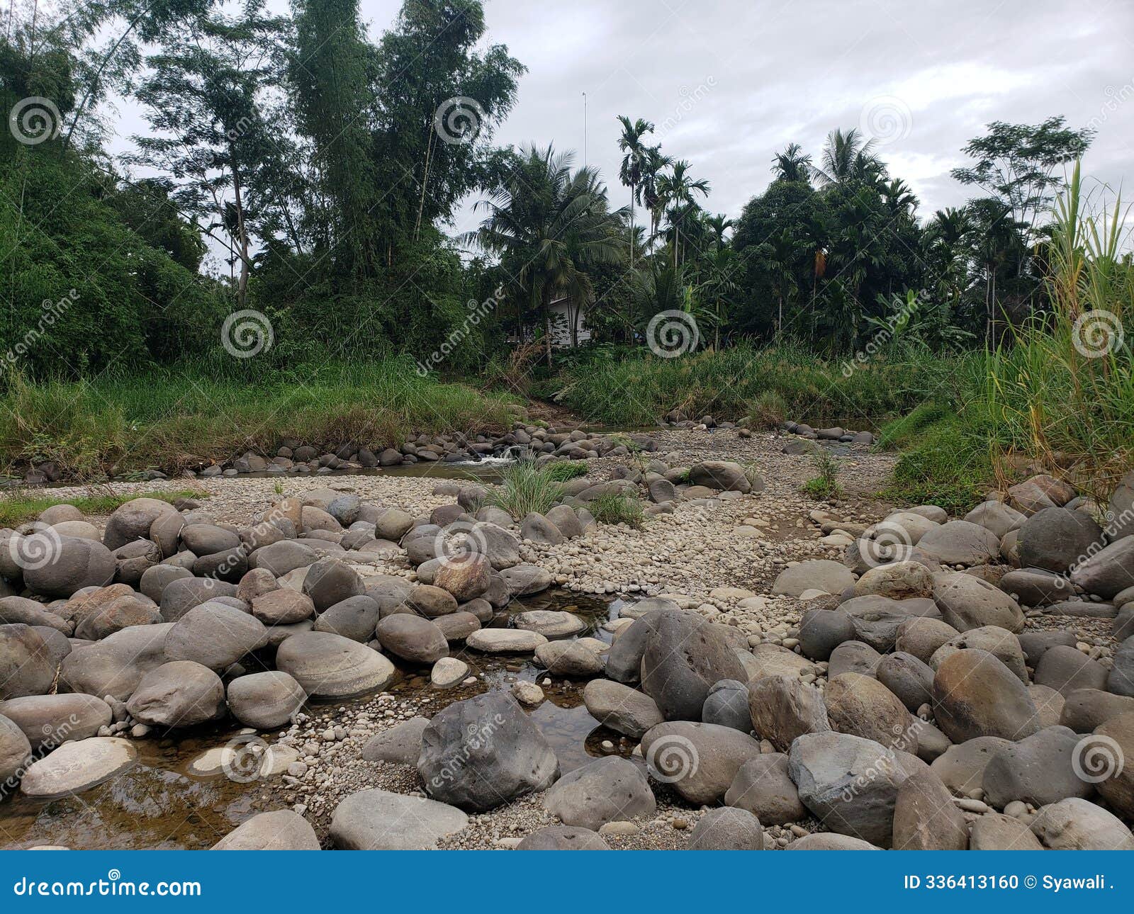 A Small Stream Flowing through Rocks in a Tropical Forest Stock Photo ...