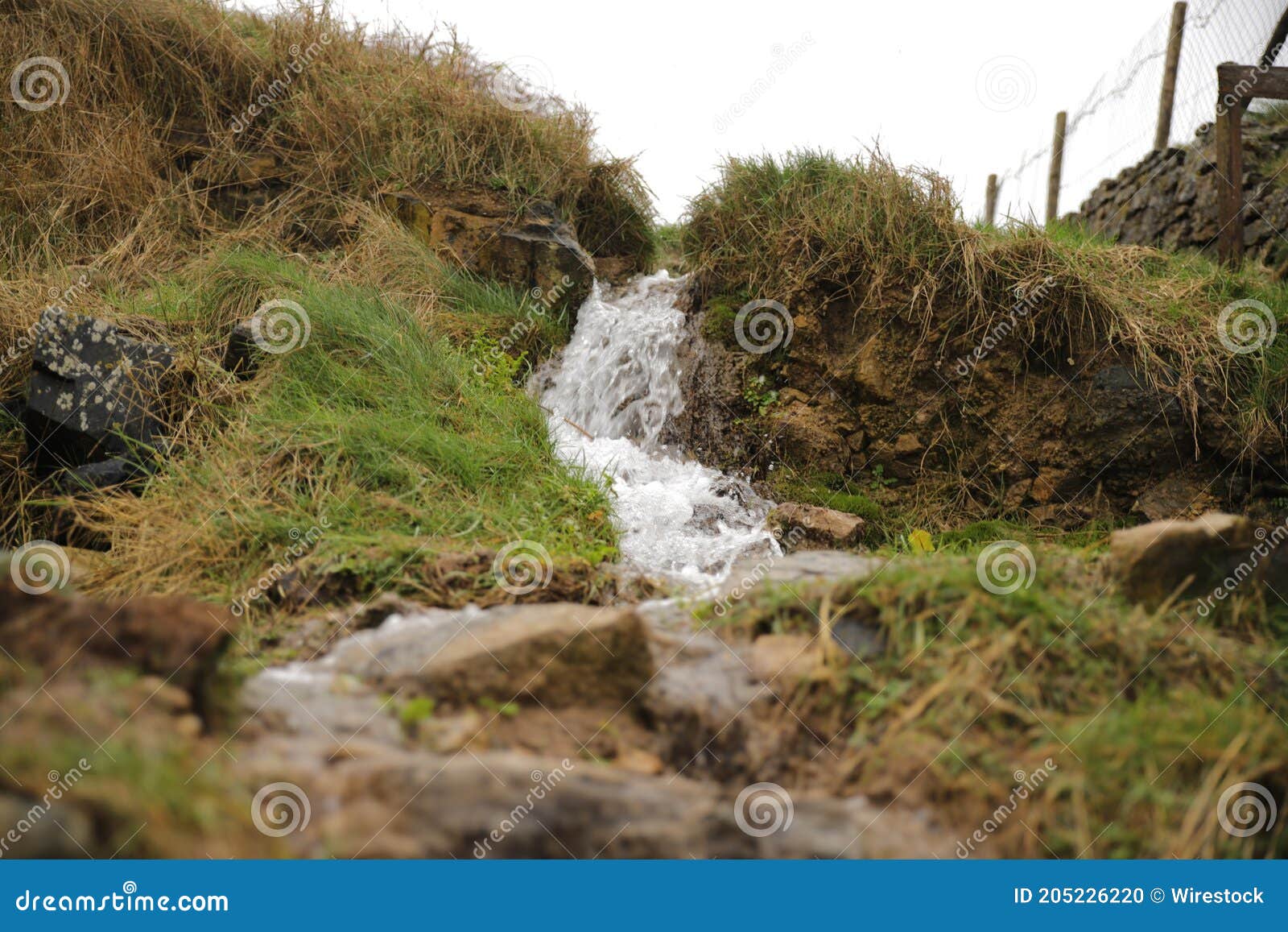 Small Stream Flowing on the Slope Stock Photo - Image of flowing ...