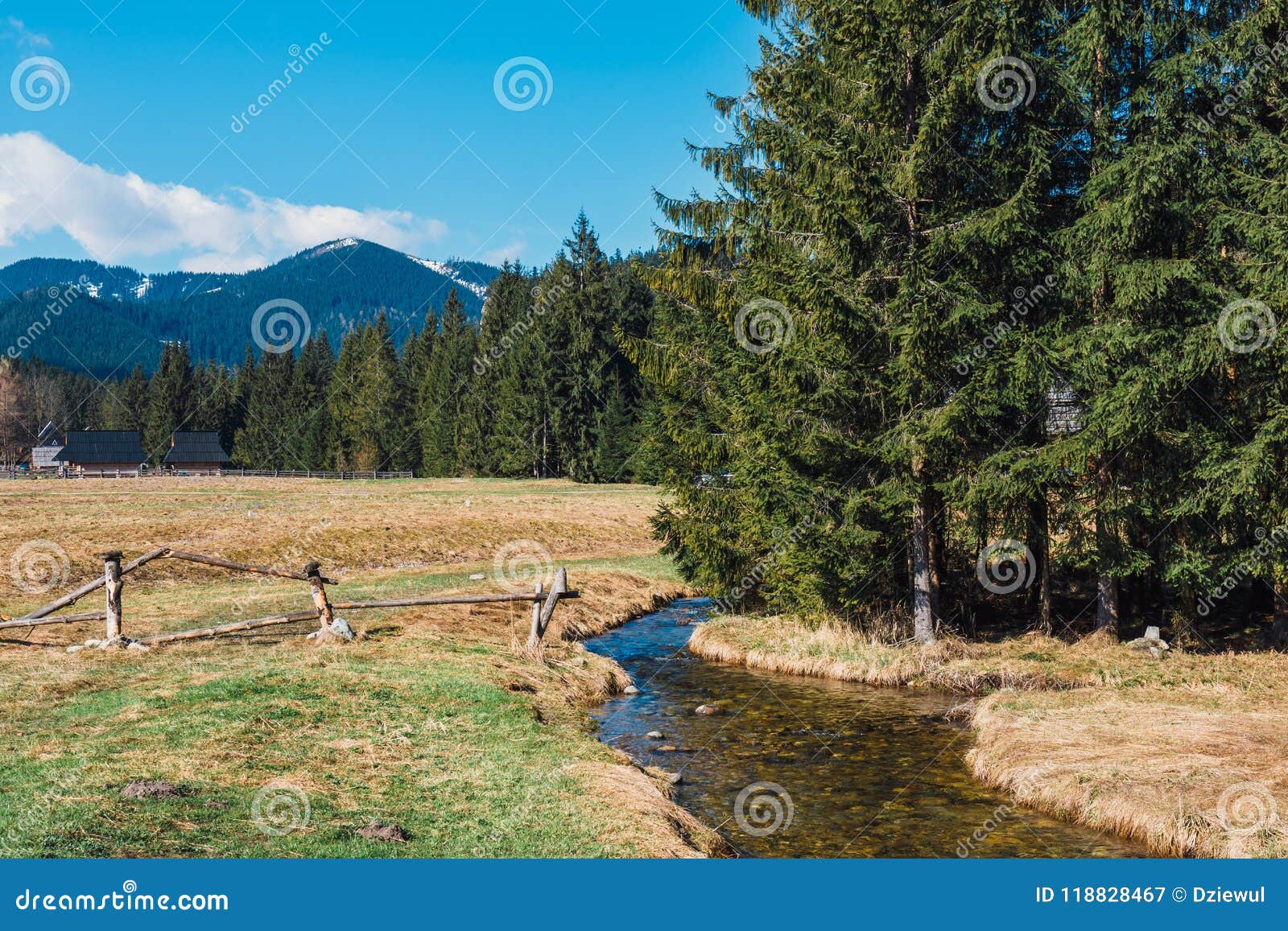 Stream Flowing between the Trees in the Mountains Stock Image - Image ...