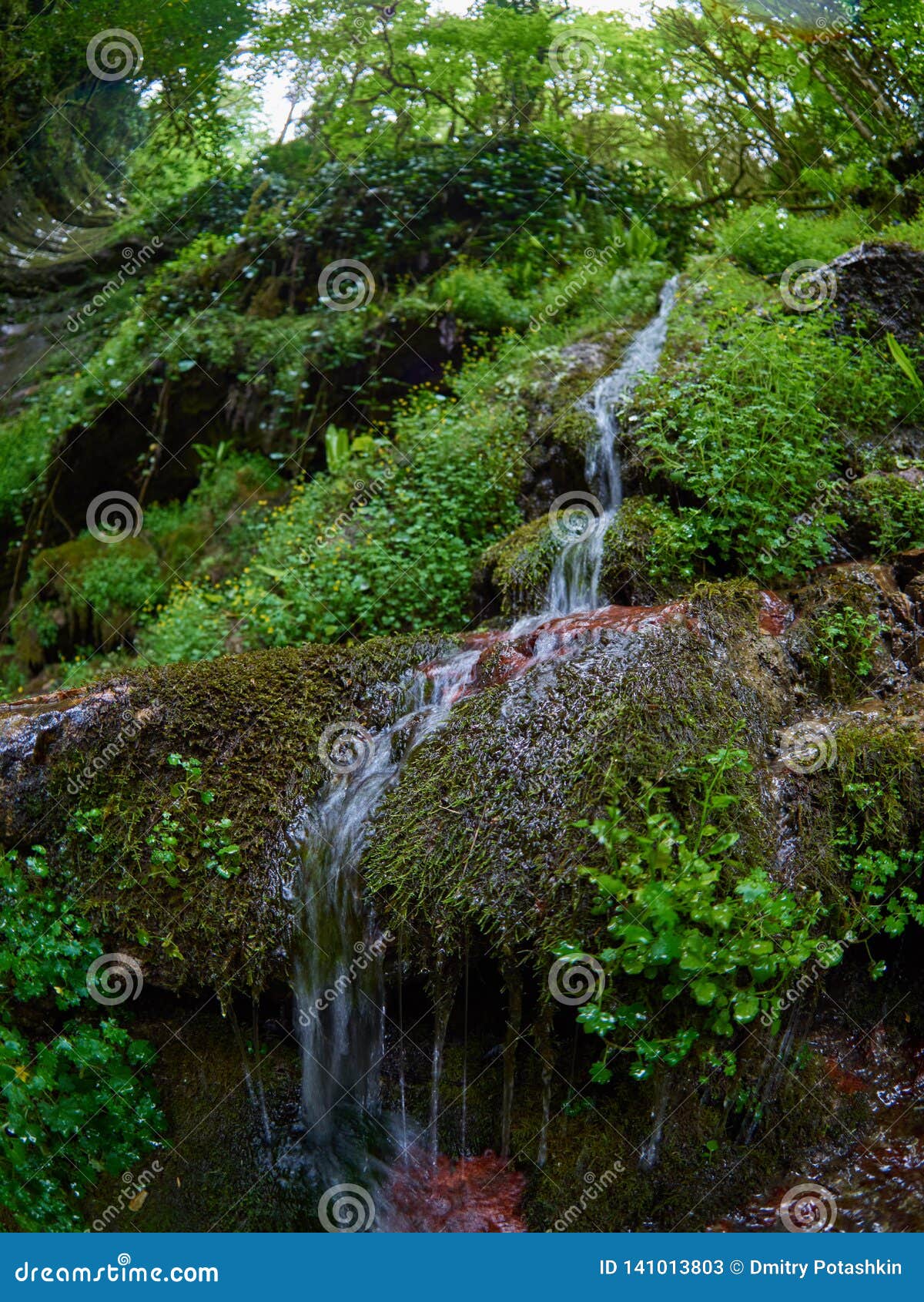A Small Stream Flows Down the Moss-covered Mountainside Stock Image ...