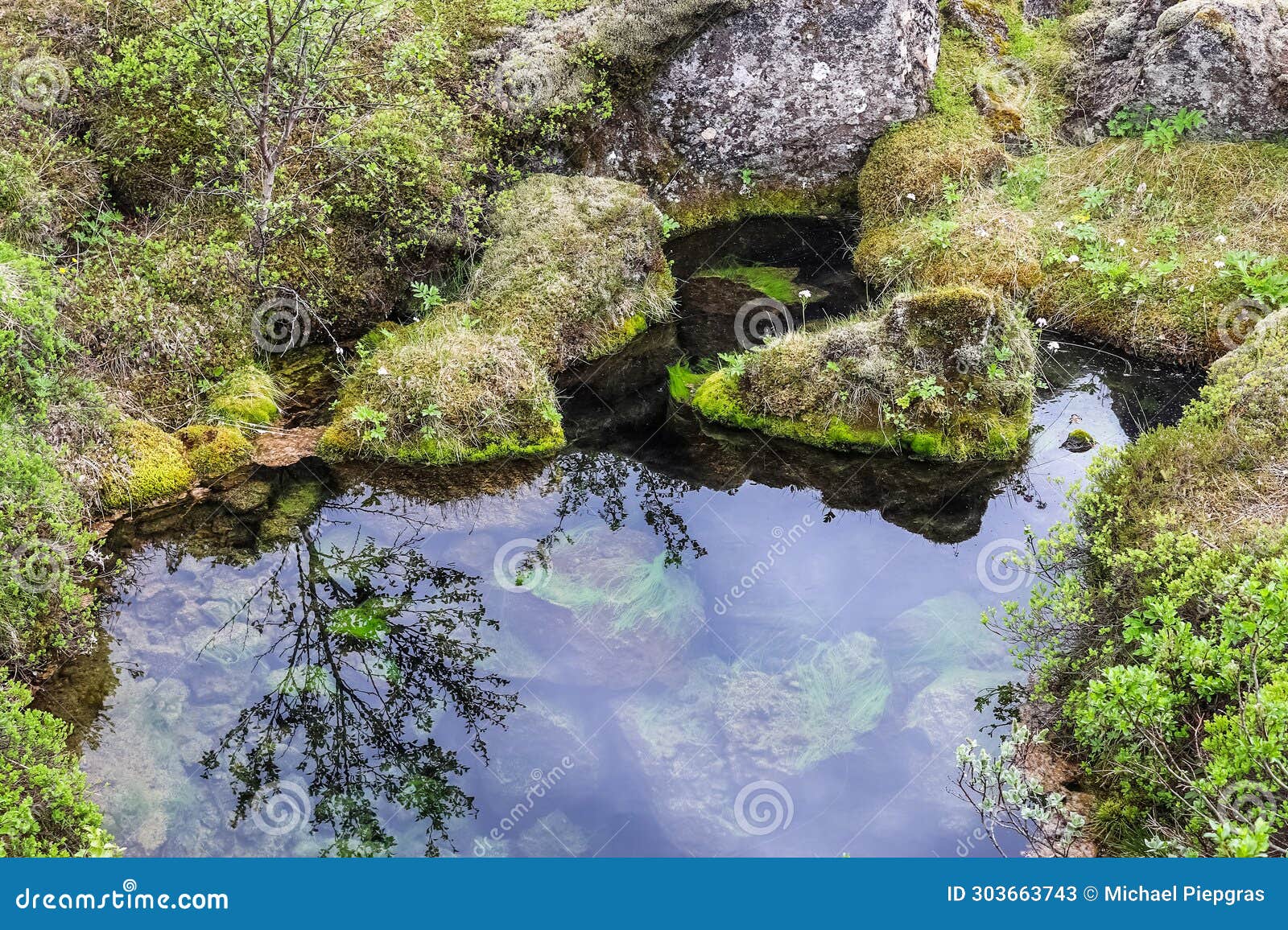A Small Stream Flows through a Green Meadow in Iceland Stock Image ...