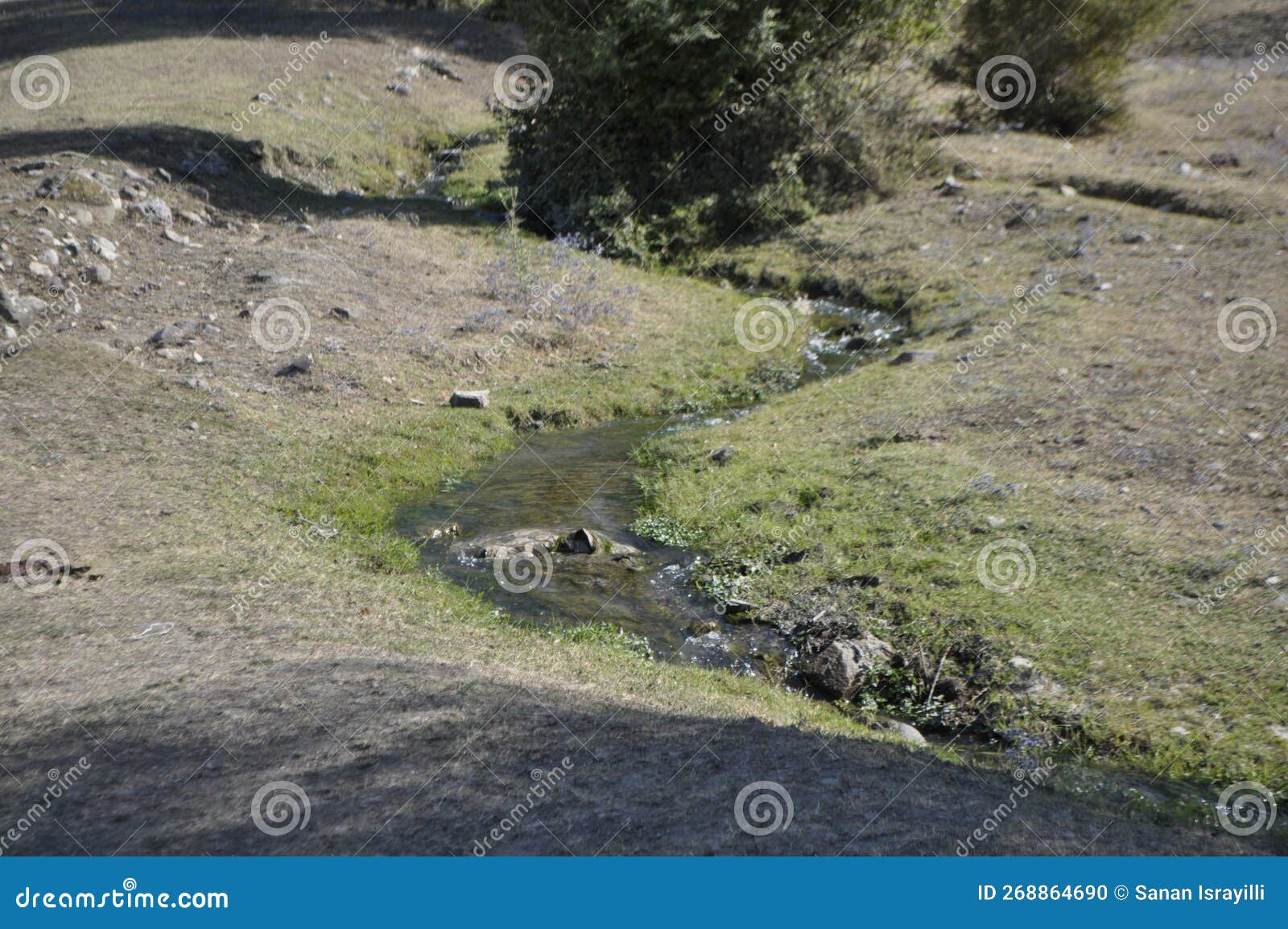 A Small Stream Flows through a Green Meadow in the Mountains Stock ...