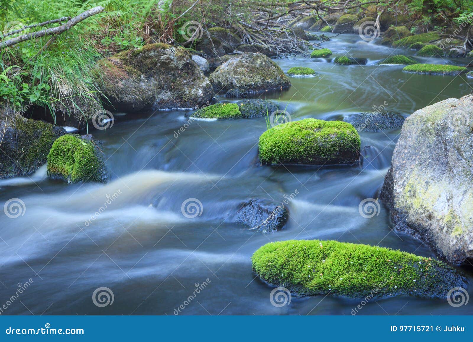 Small stream in forest stock image. Image of summer, long - 97715721