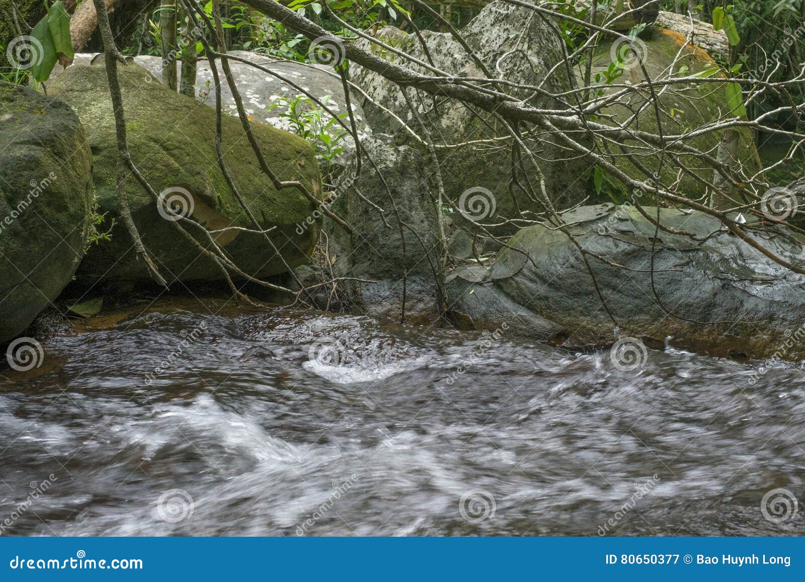 Small stream in the forest stock image. Image of spring - 80650377