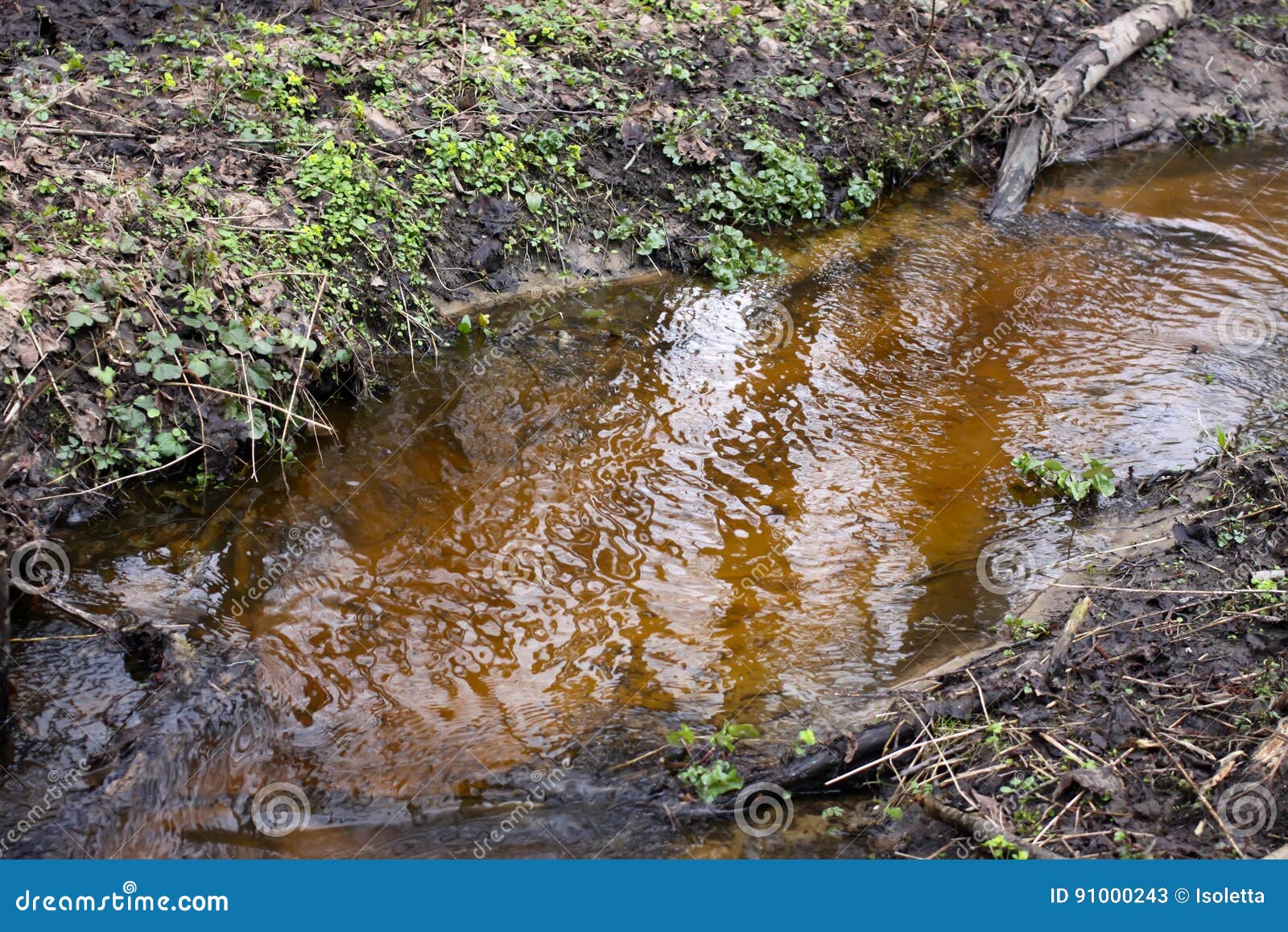 Small Stream in the Spring Forest. Stock Image - Image of river, calm ...