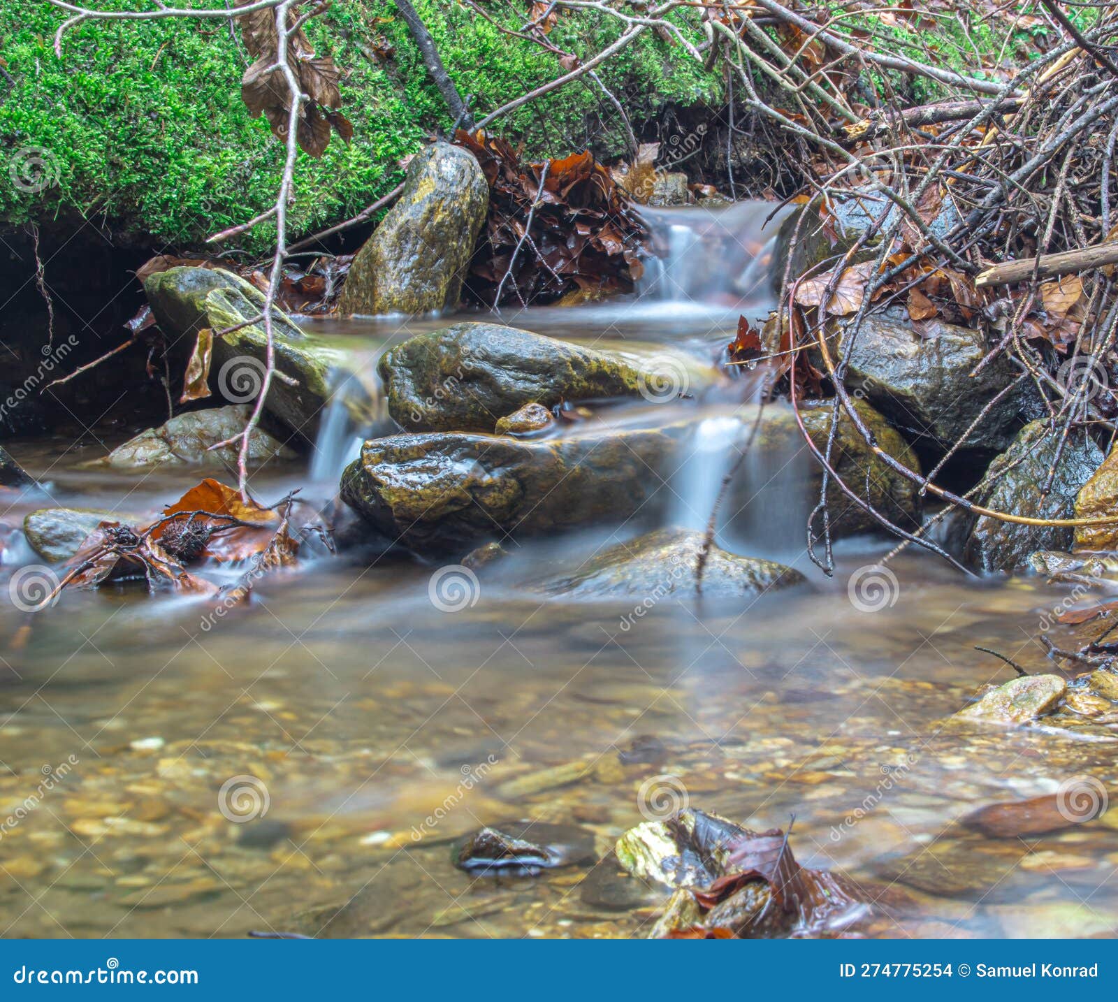A Small Water Fall in a Europen Forest Stock Photo - Image of small ...
