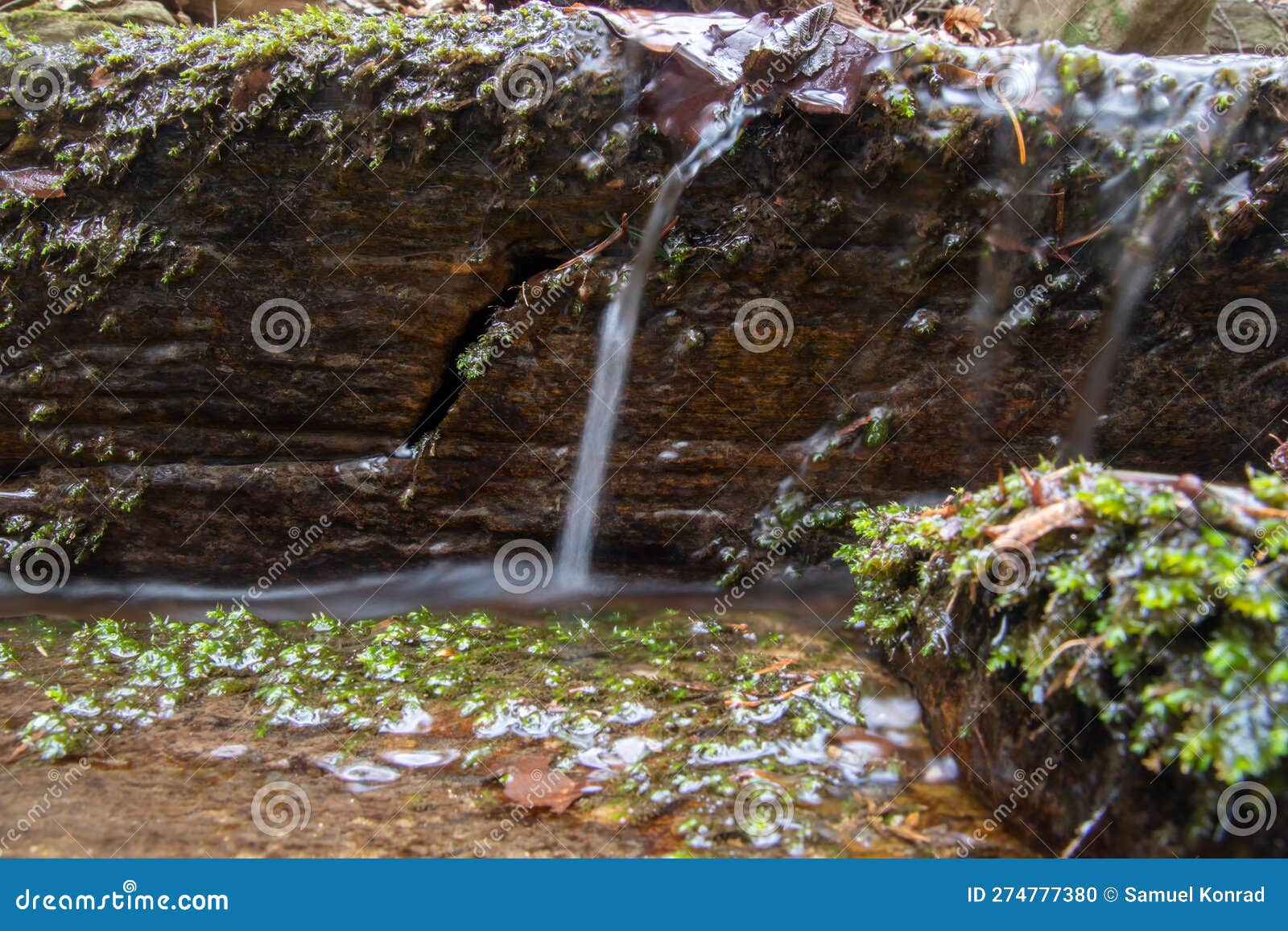 A Small Water Fall in a European Forest Stock Photo - Image of nature ...
