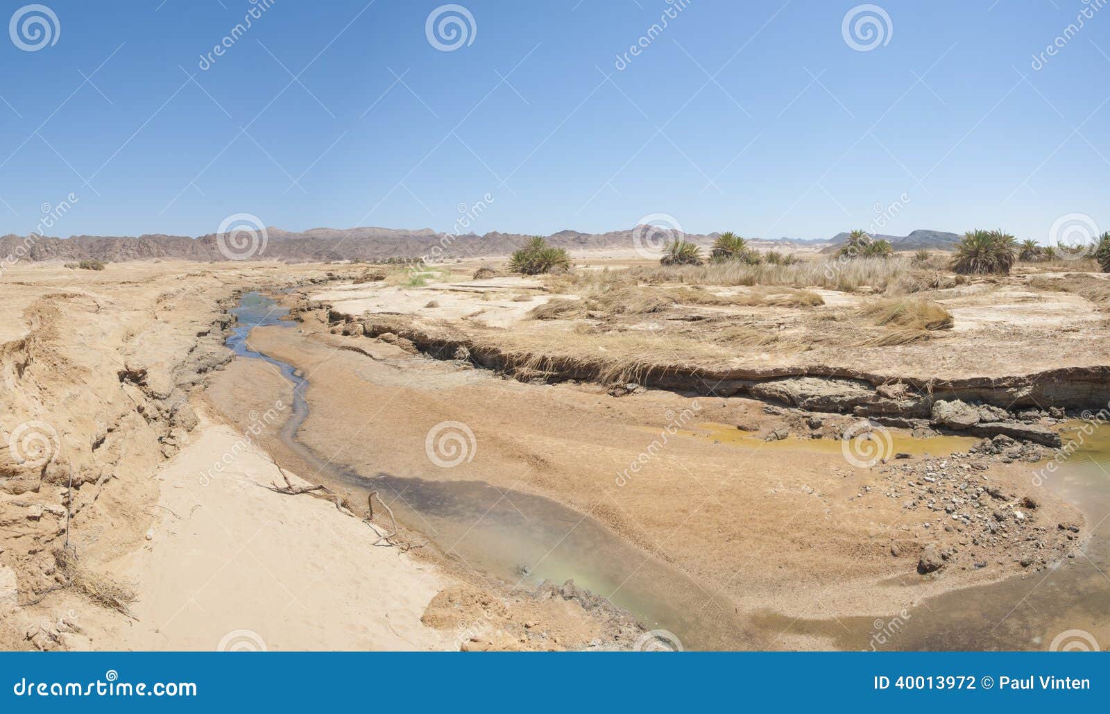 Small Stream Going through Desert Oasis Stock Photo - Image of rocky ...