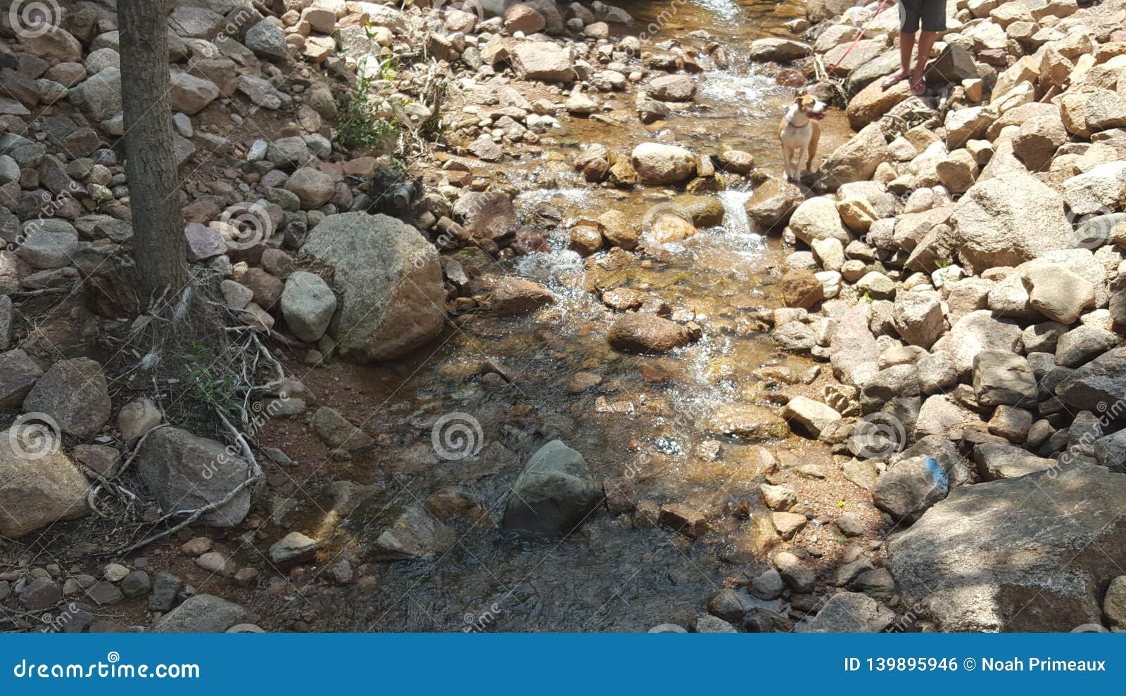 Rocky Stream stock photo. Image of rocky, filled, small - 139895946