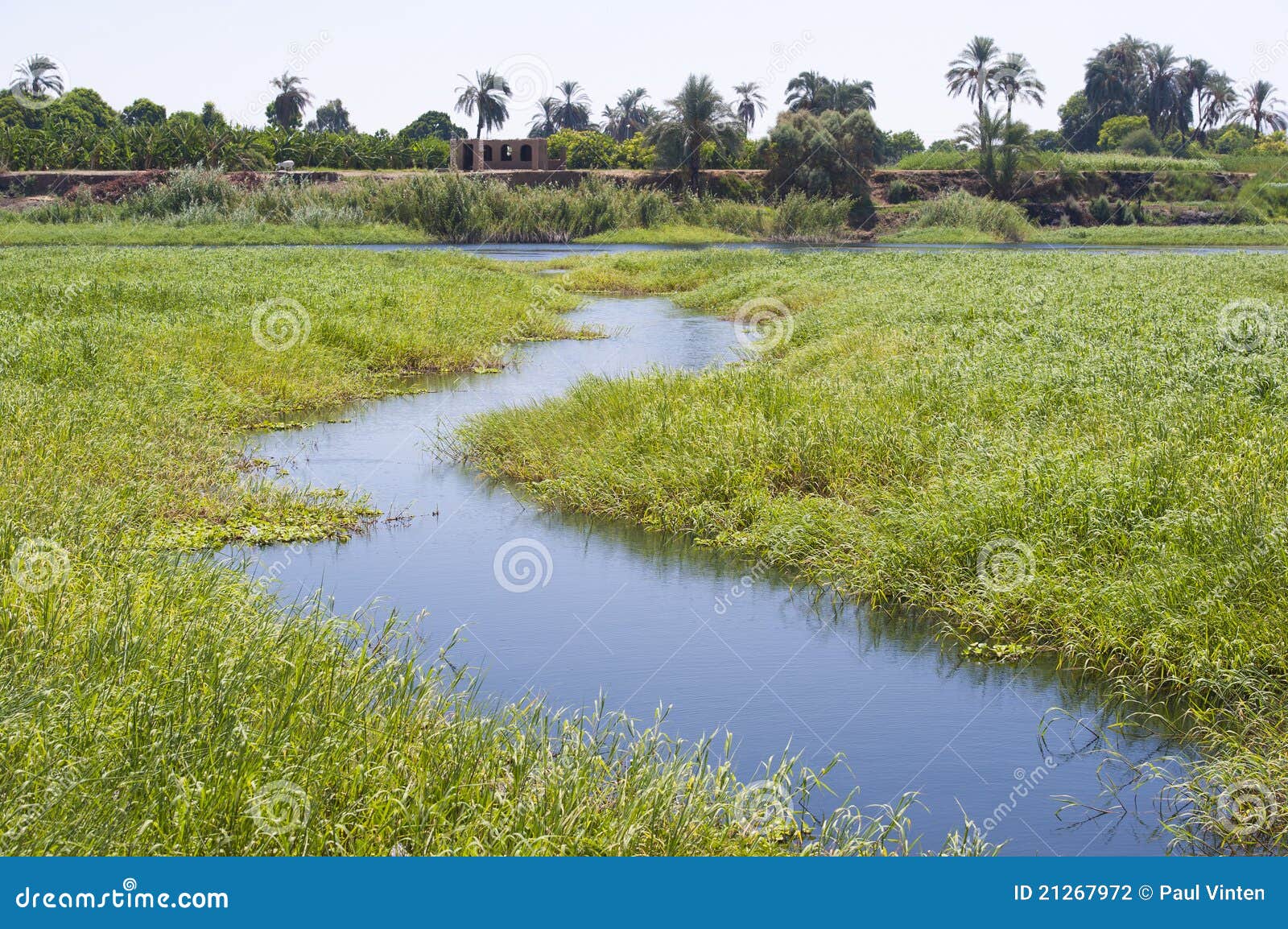 Small Stream Through Marshland Stock Photo - Image of stream, marshy ...