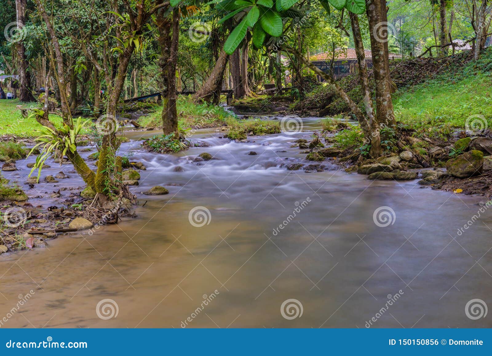 Small stream from mountain stock photo. Image of summer - 150150856