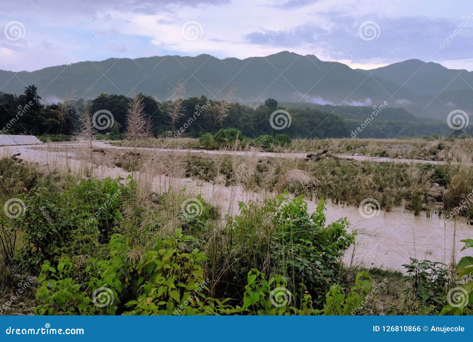 Riverside stock photo. Image of distance, mountains - 126810866